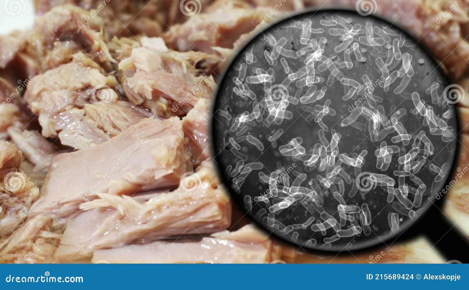 Streptococcus Fish Stock Photos - Free & Royalty-Free Stock Photos from ...