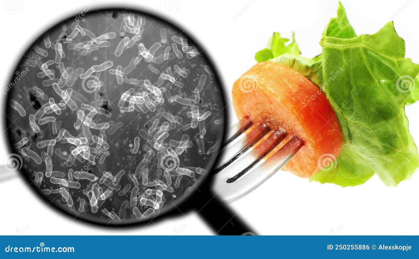 Searching for Bacteria in Vegetables Stock Photo - Image of biologic ...