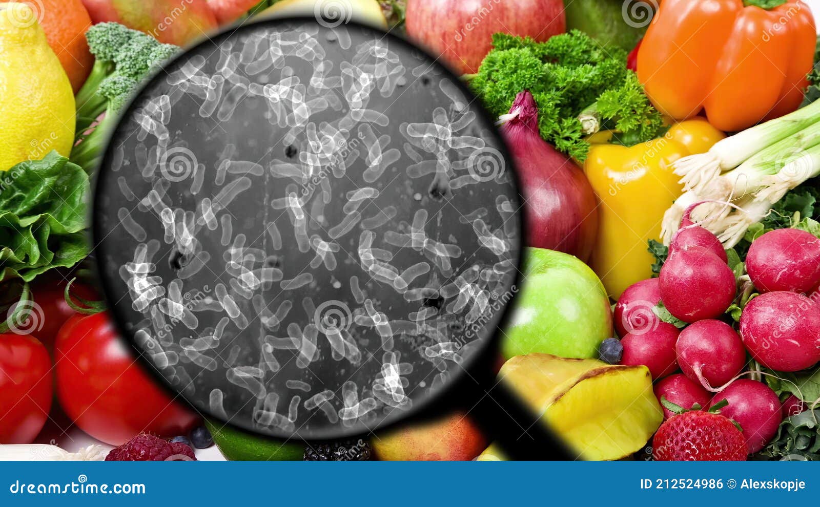 Searching for Bacteria in Vegetables Stock Photo - Image of medical ...
