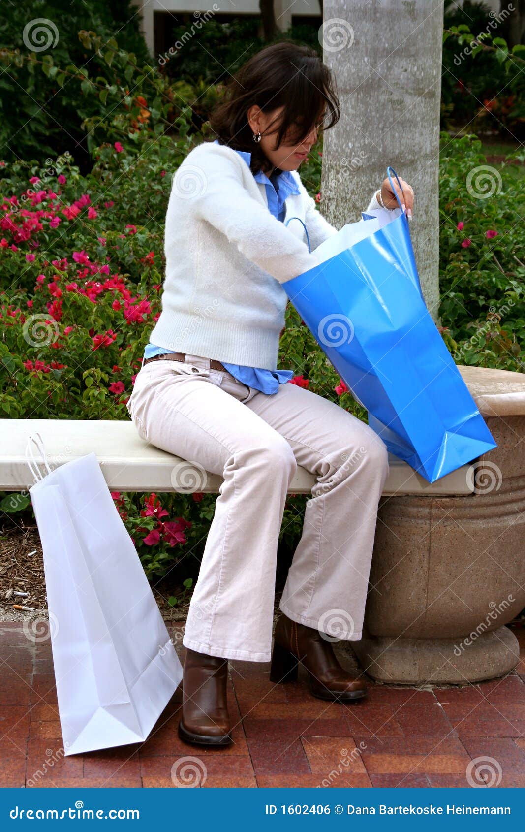 Searching Bags 2 stock photo. Image of bags, gift, purchase - 1602406