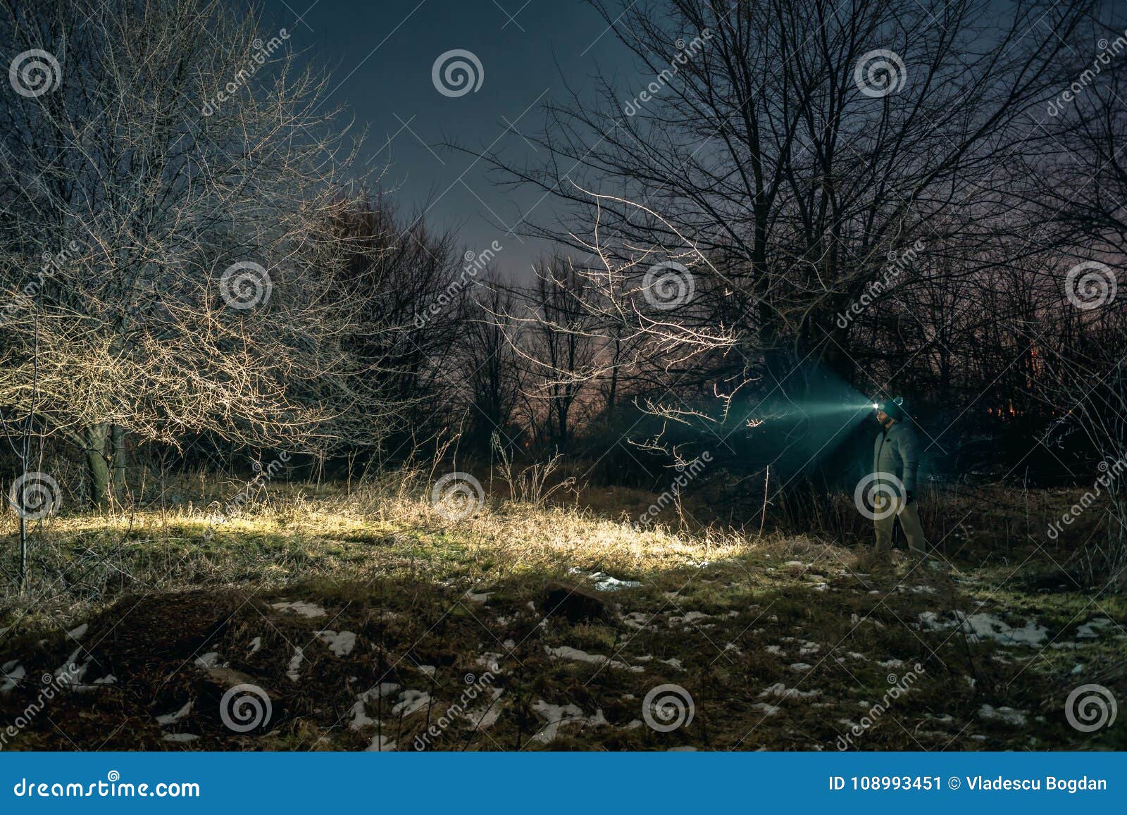 Searching with Flashlight in Nature Stock Image - Image of trees, field ...