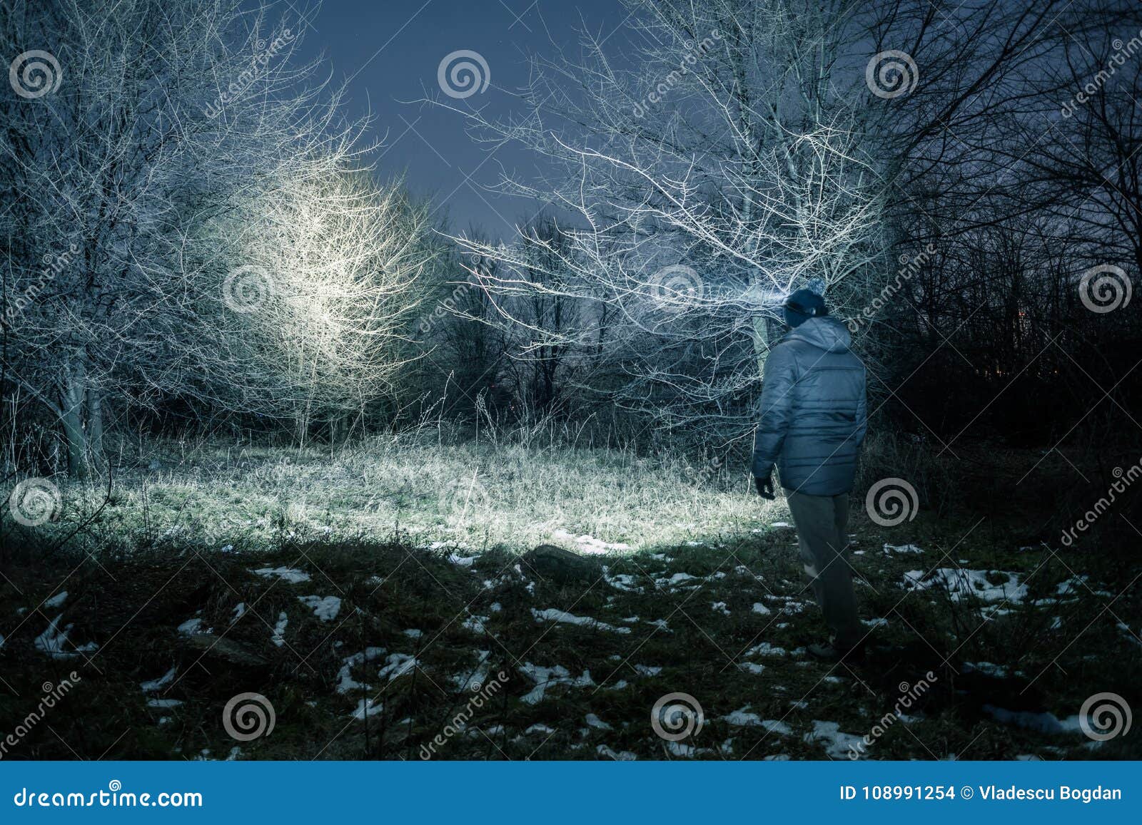 Searching with Headlamp in Nature Stock Photo - Image of trees ...