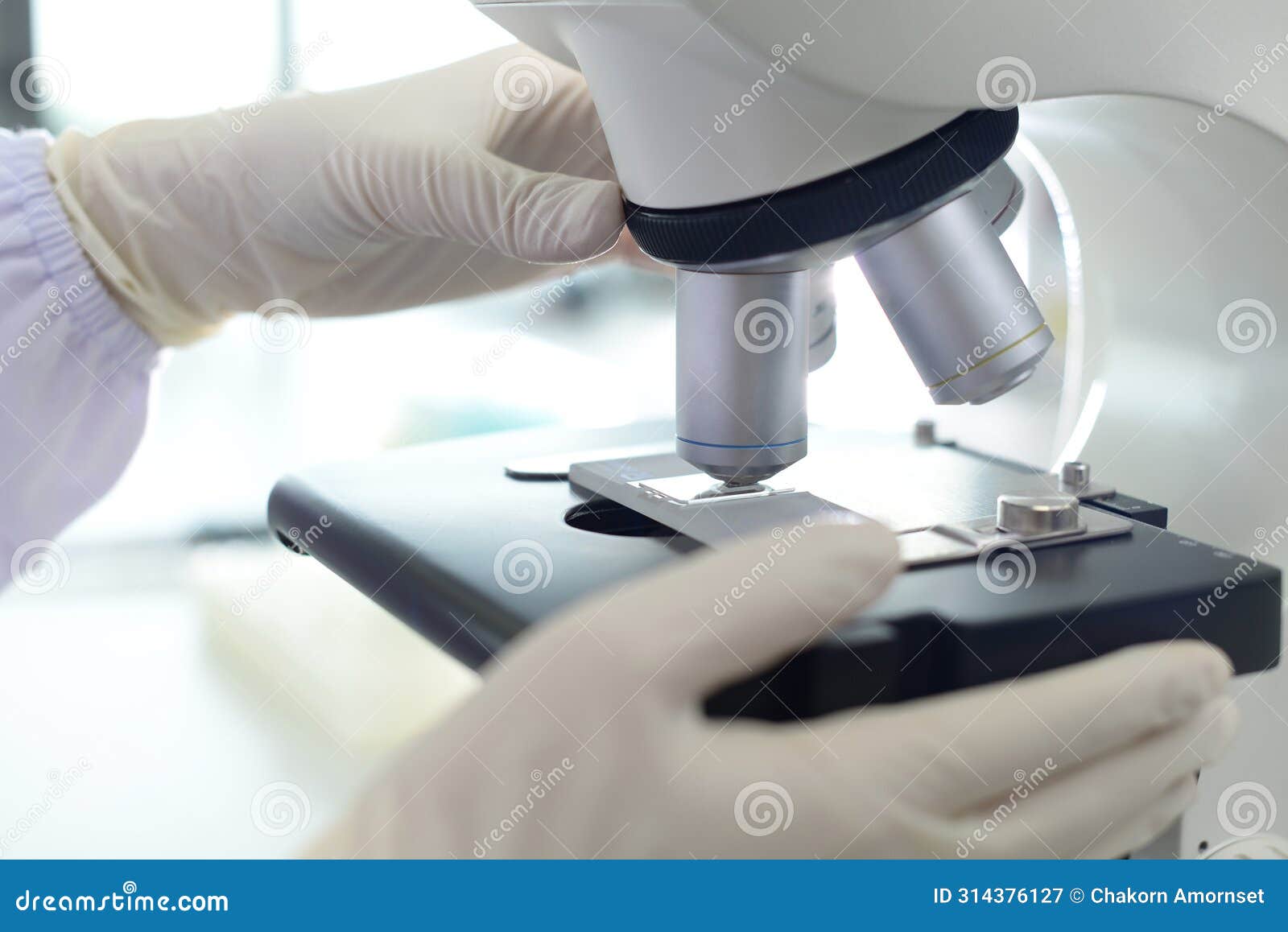 Searching for Microorganism by the Microscope. Stock Image - Image of ...