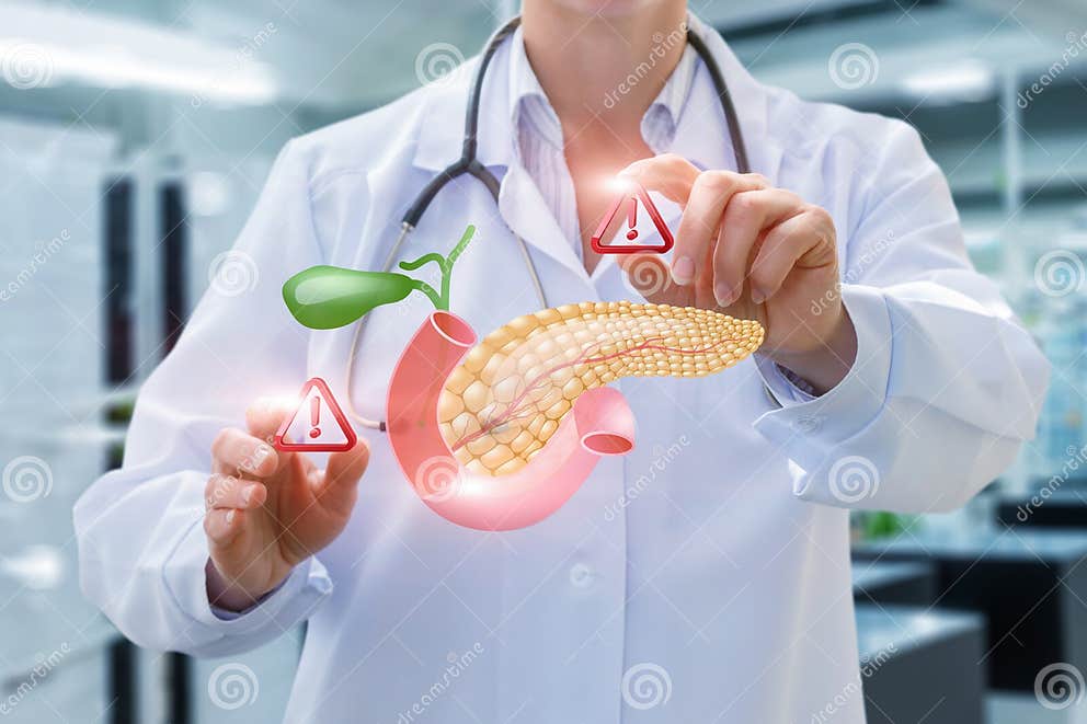 Searching for Problems in the Functioning of the Pancreas Stock Image ...