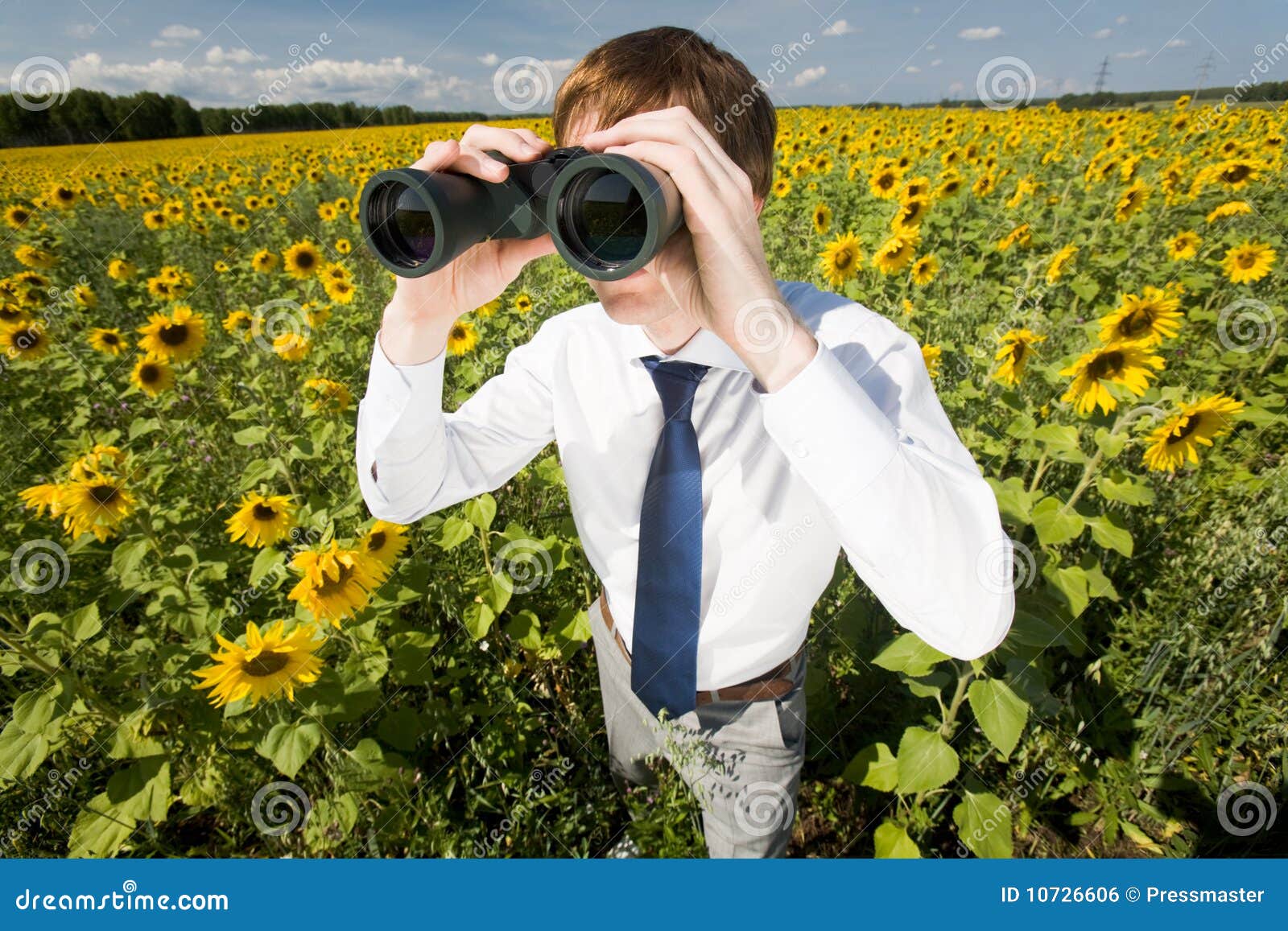 Searching for success stock photo. Image of masculine - 10726606