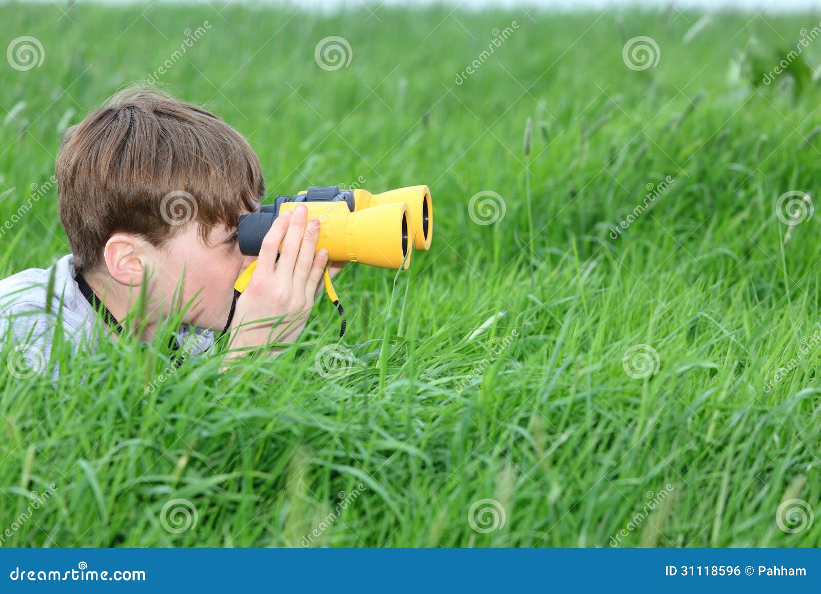 Searching stock photo. Image of nature, grass, concept - 31118596