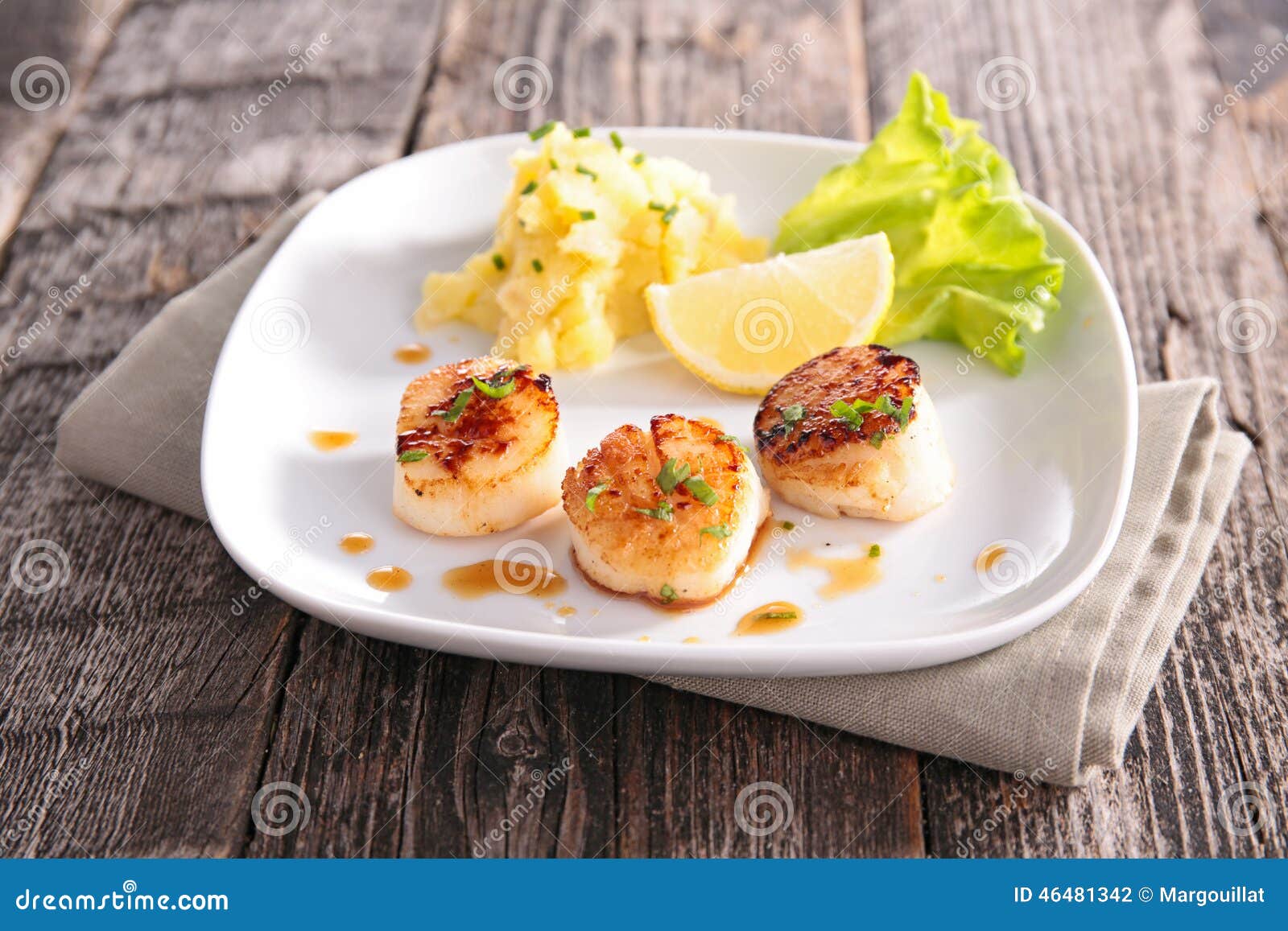 Seared scallop stock photo. Image of seafood, scallop - 46481342