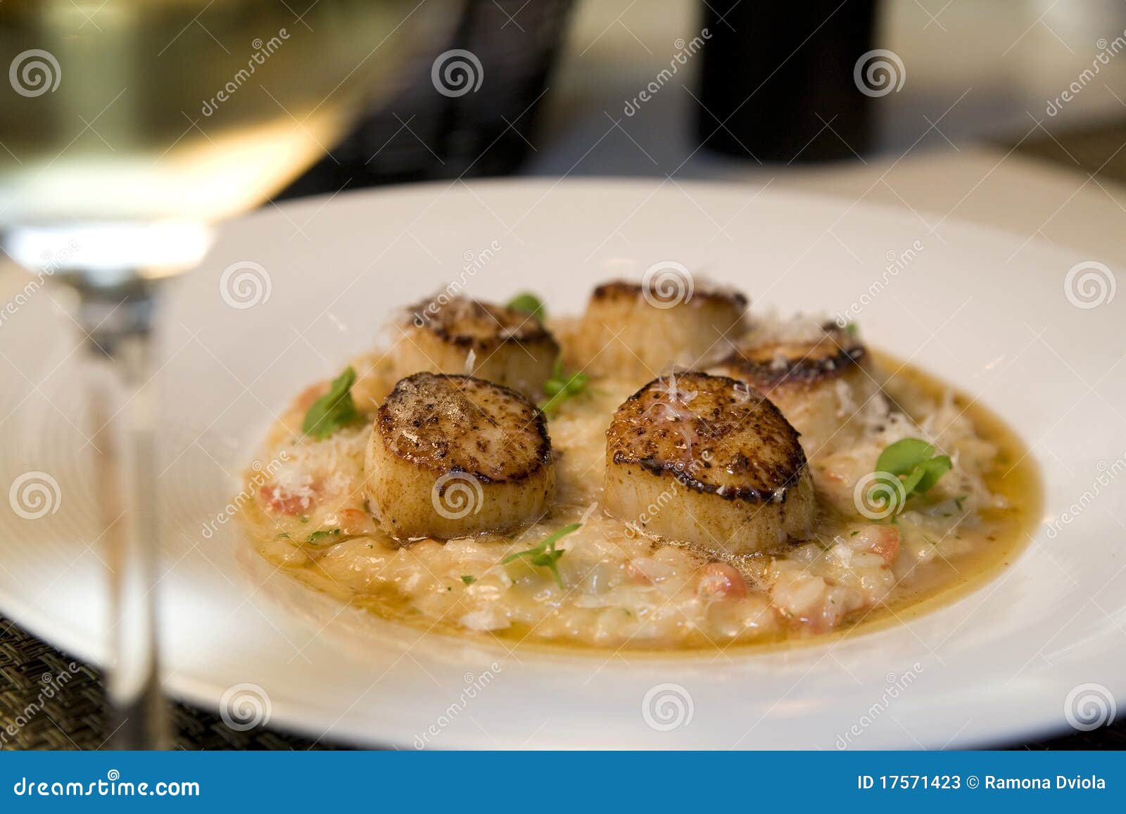 Seared Scallops , Grilled Scallop With Pasley Starter Food On A Plate ...