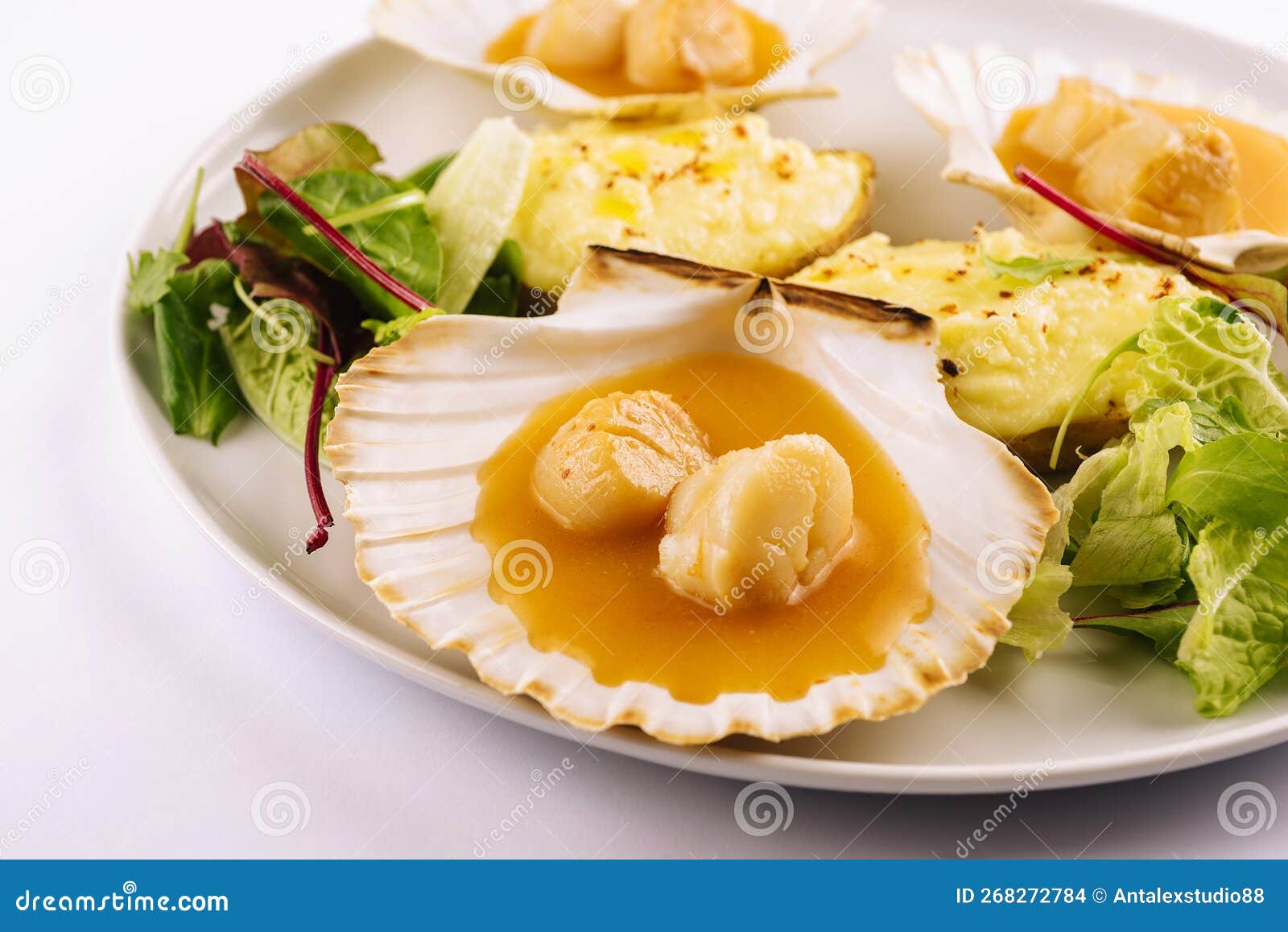 Seared Scallops Shell with Butter on Plate Stock Photo - Image of dish ...