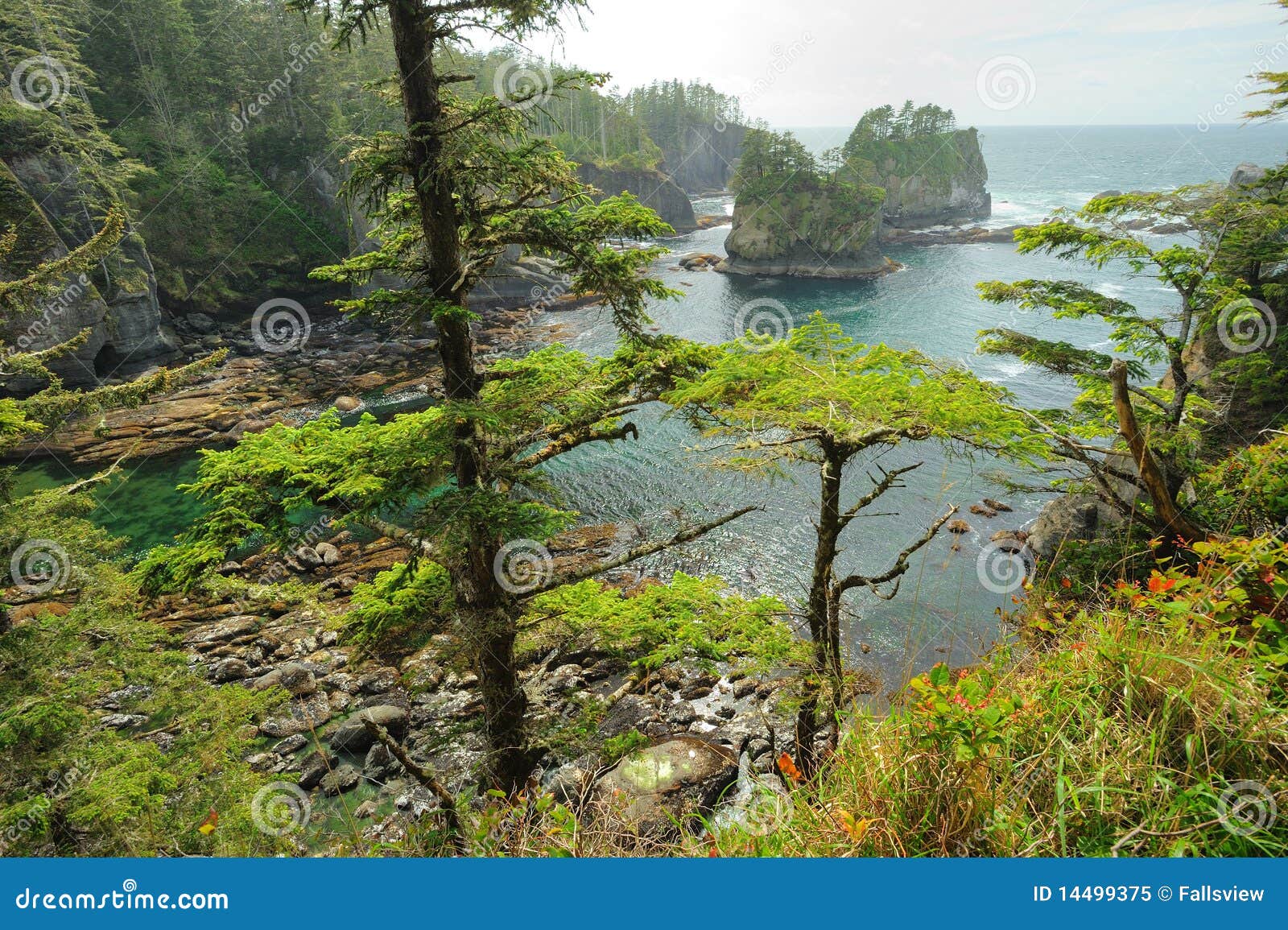 Seascape in cape flattery stock image. Image of cove - 14499375