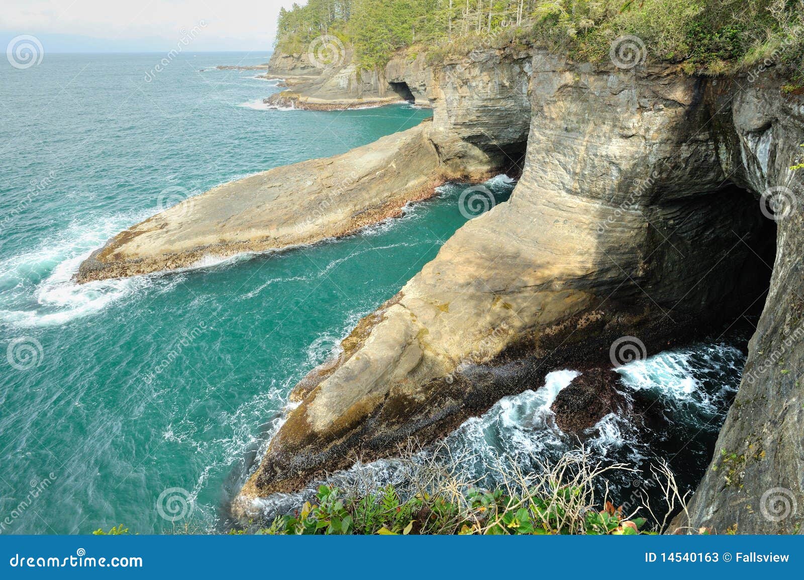 Seascape in cape flattery stock image. Image of stone - 14540163