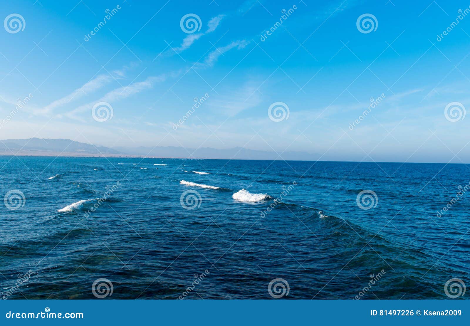 Seascape of the Red Sea stock photo. Image of coast, coastline - 81497226