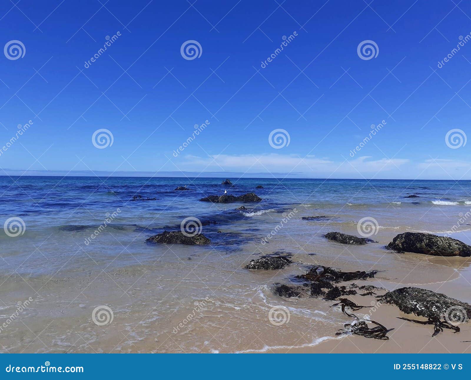 Seascape and Reefs Against the Sky Atlantic Coast Stock Photo - Image ...
