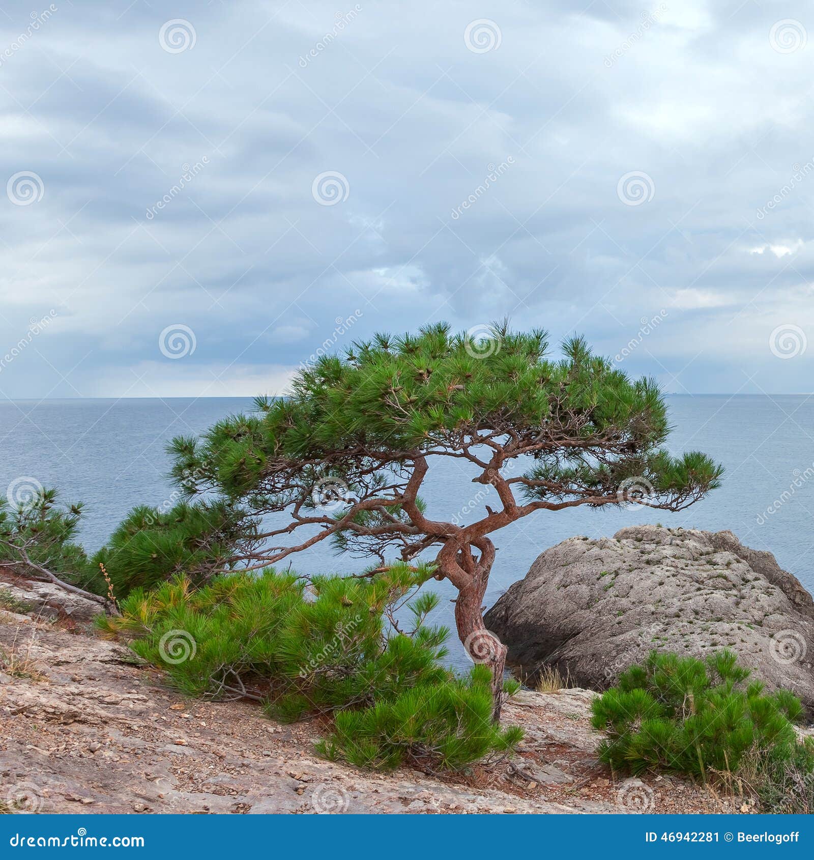 Seascape with rocks stock image. Image of rocks, beautiful - 46942281