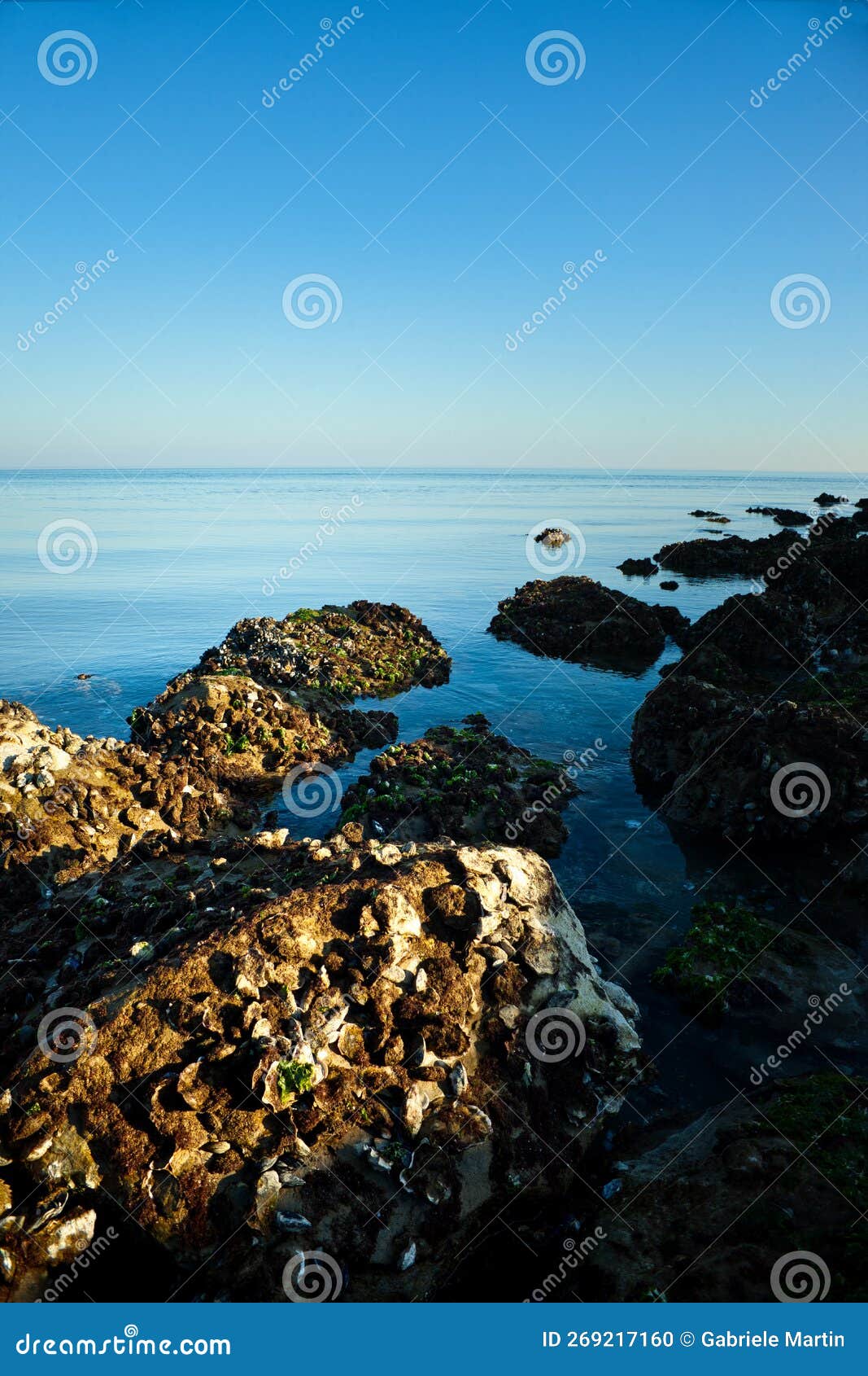 Seascape with Shell on Rocks Stock Photo - Image of rock, terrain ...