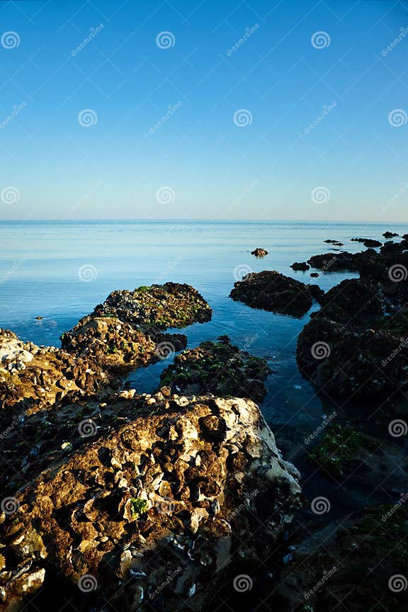 Seascape with Shell on Rocks Stock Photo - Image of rock, terrain ...