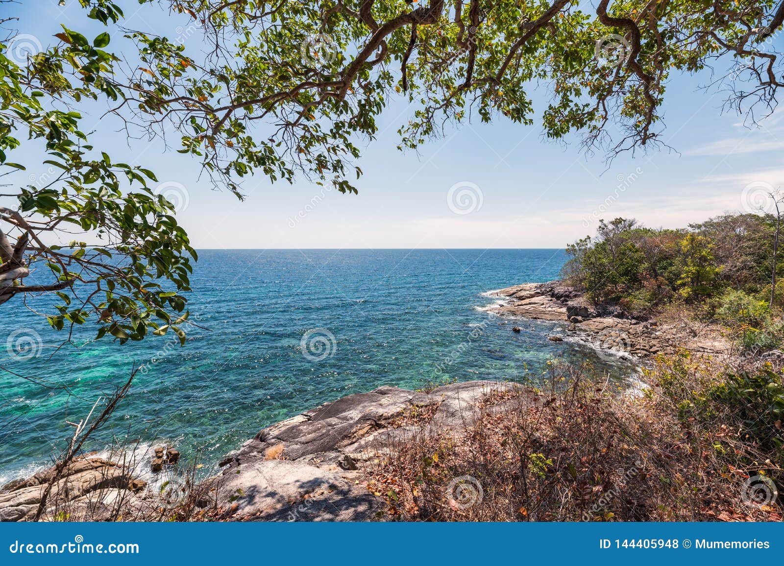 Seascape with Tree on Hill and Coastline Stock Photo - Image of ...