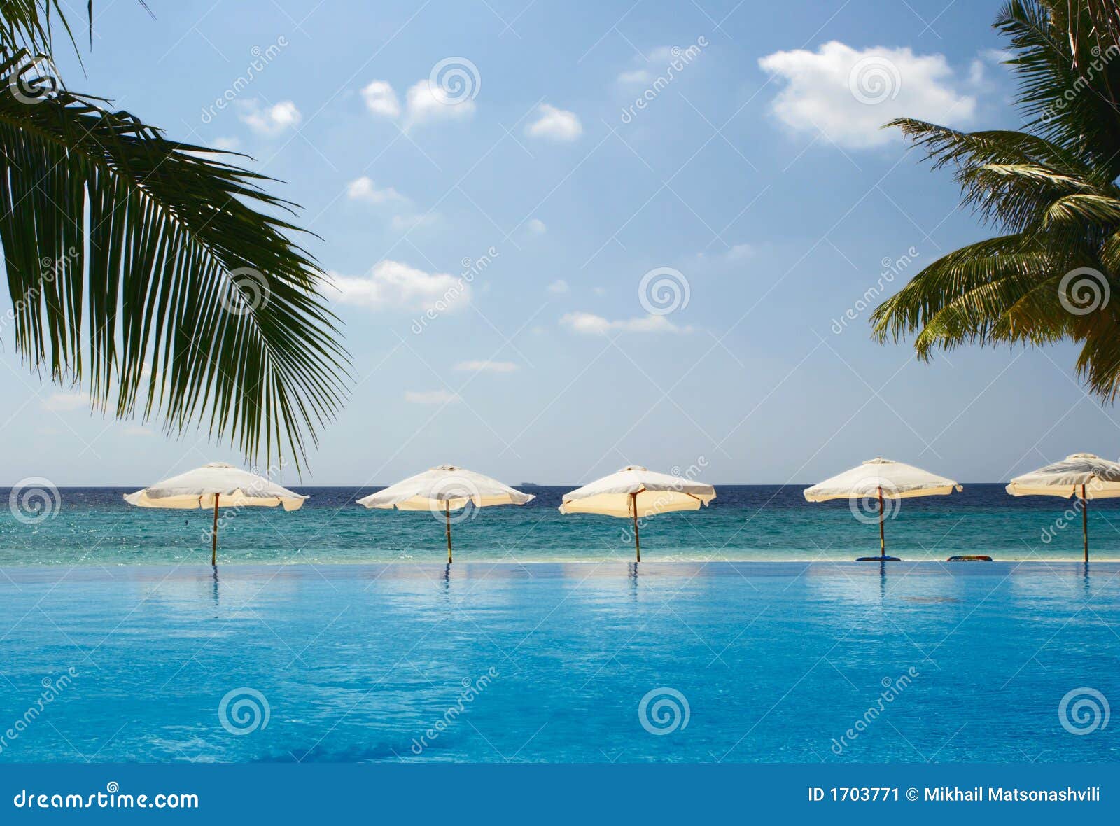 Seascape view stock image. Image of exotic, nature, frond - 1703771