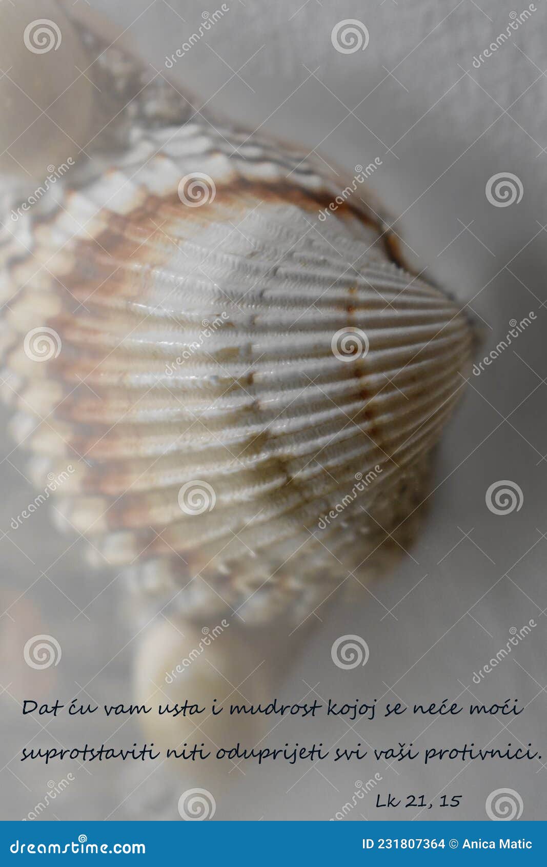 Gospel from the Apostle Luke 21, 15 from the Bible. Stock Photo - Image ...