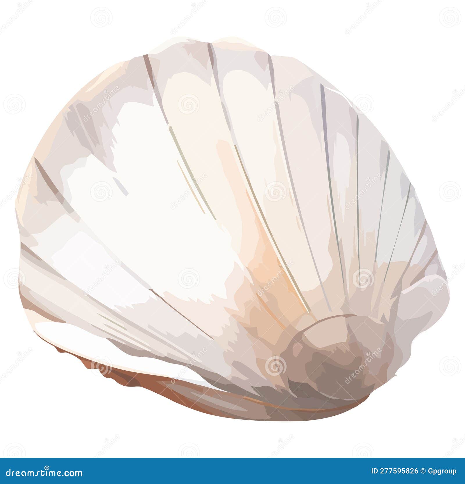Seashell aquatic symbol stock vector. Illustration of aquatic - 277595826