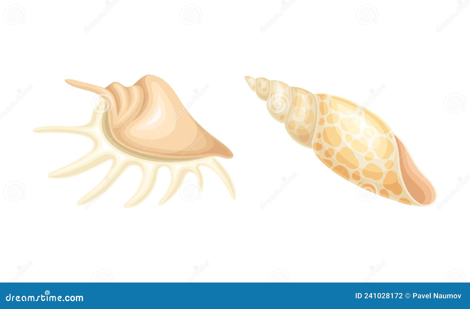 Seashell As Hard Marine Snail Shell Vector Set Stock Vector ...