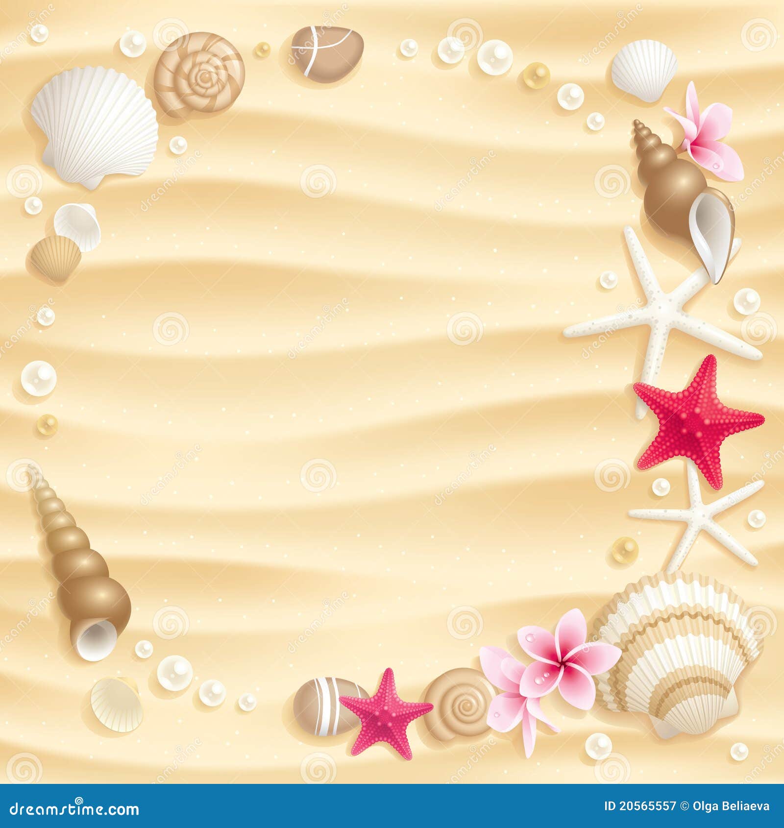 Seashell Page Border