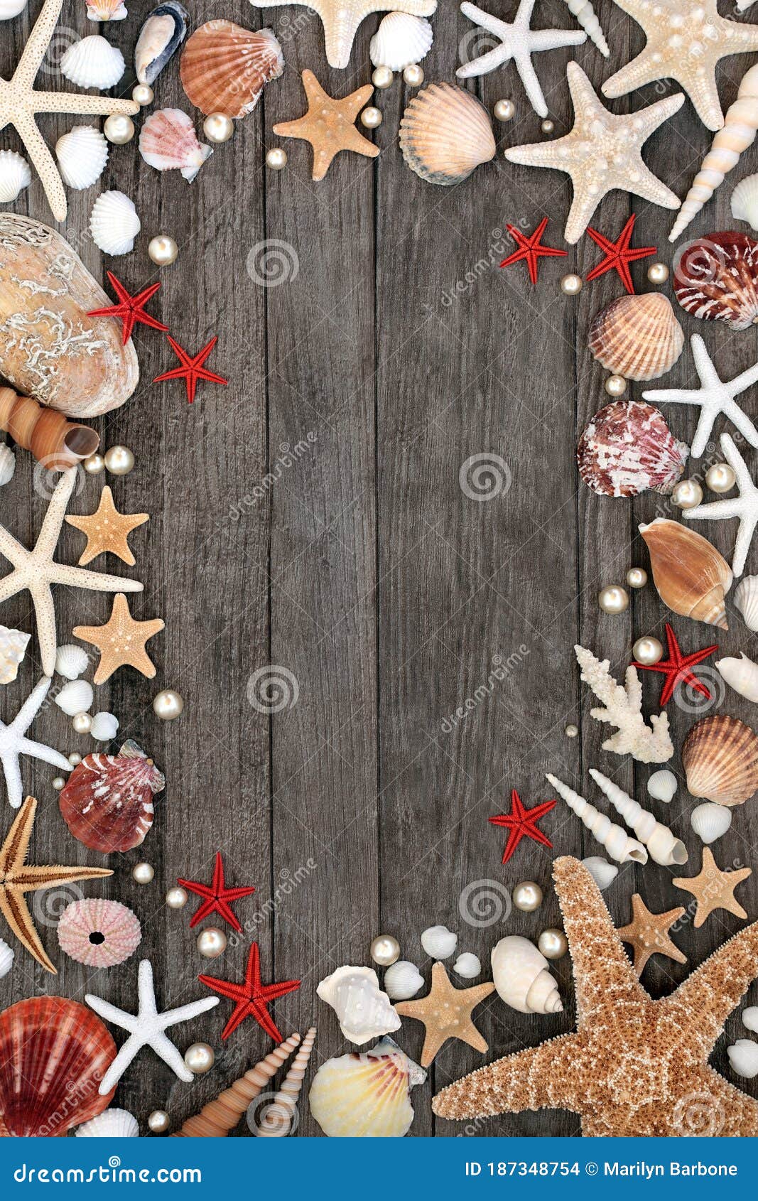 Seashell Abstract Background Border on Rustic Wood Stock Photo - Image ...