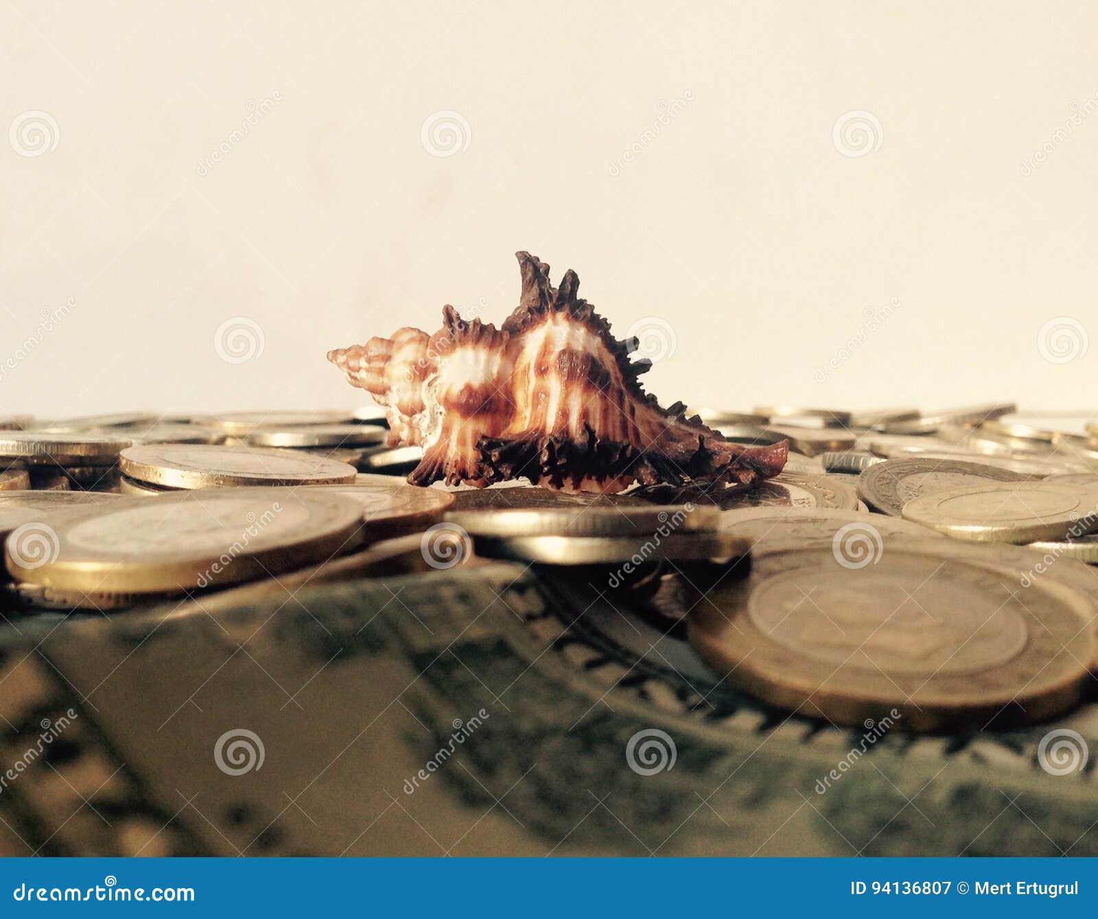 A Seashell on a Beach of Coins Stock Image - Image of seashell, coast ...