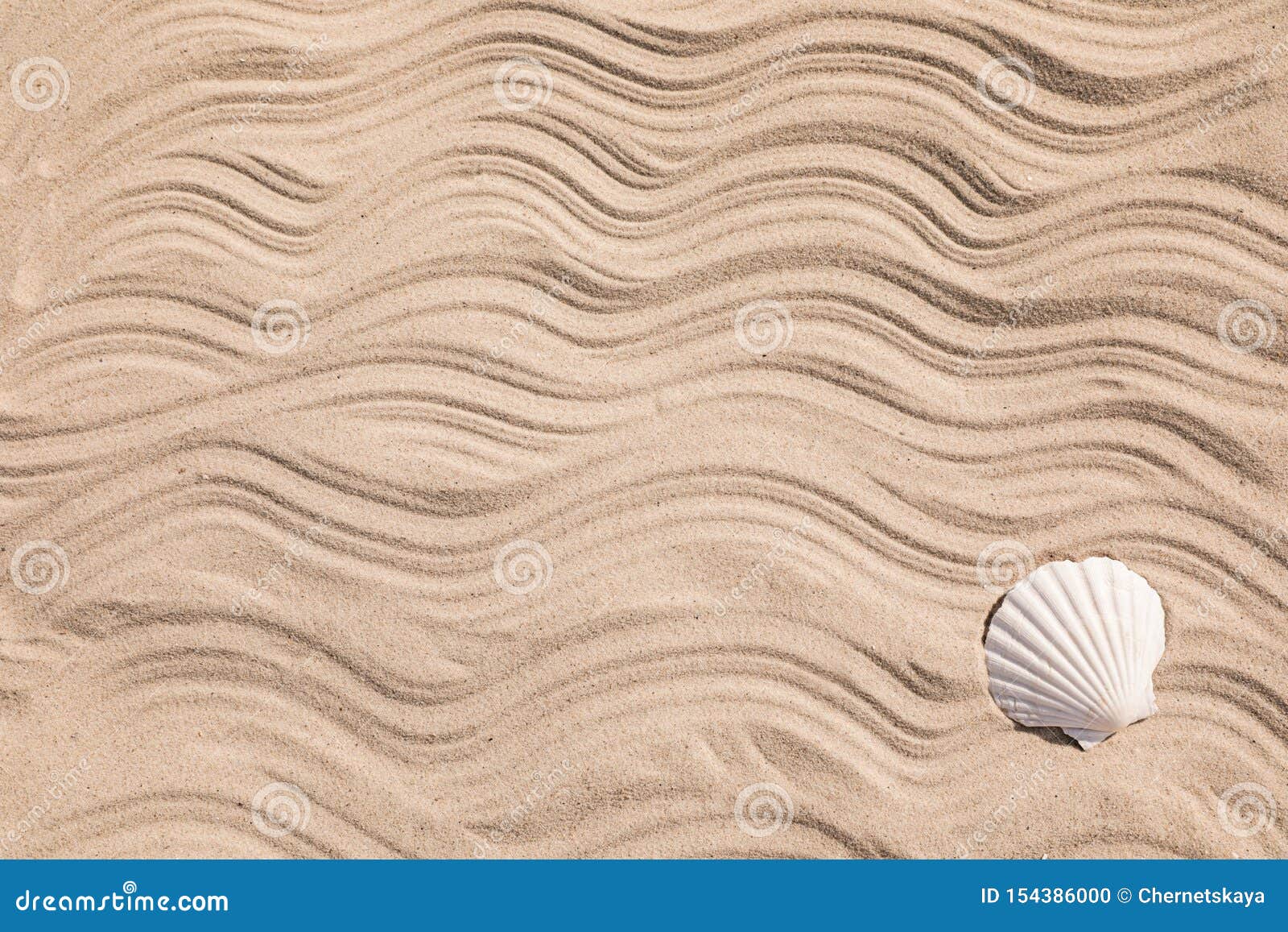 Seashell on Beach Sand with Wave Pattern, Top View. Space Stock Photo ...