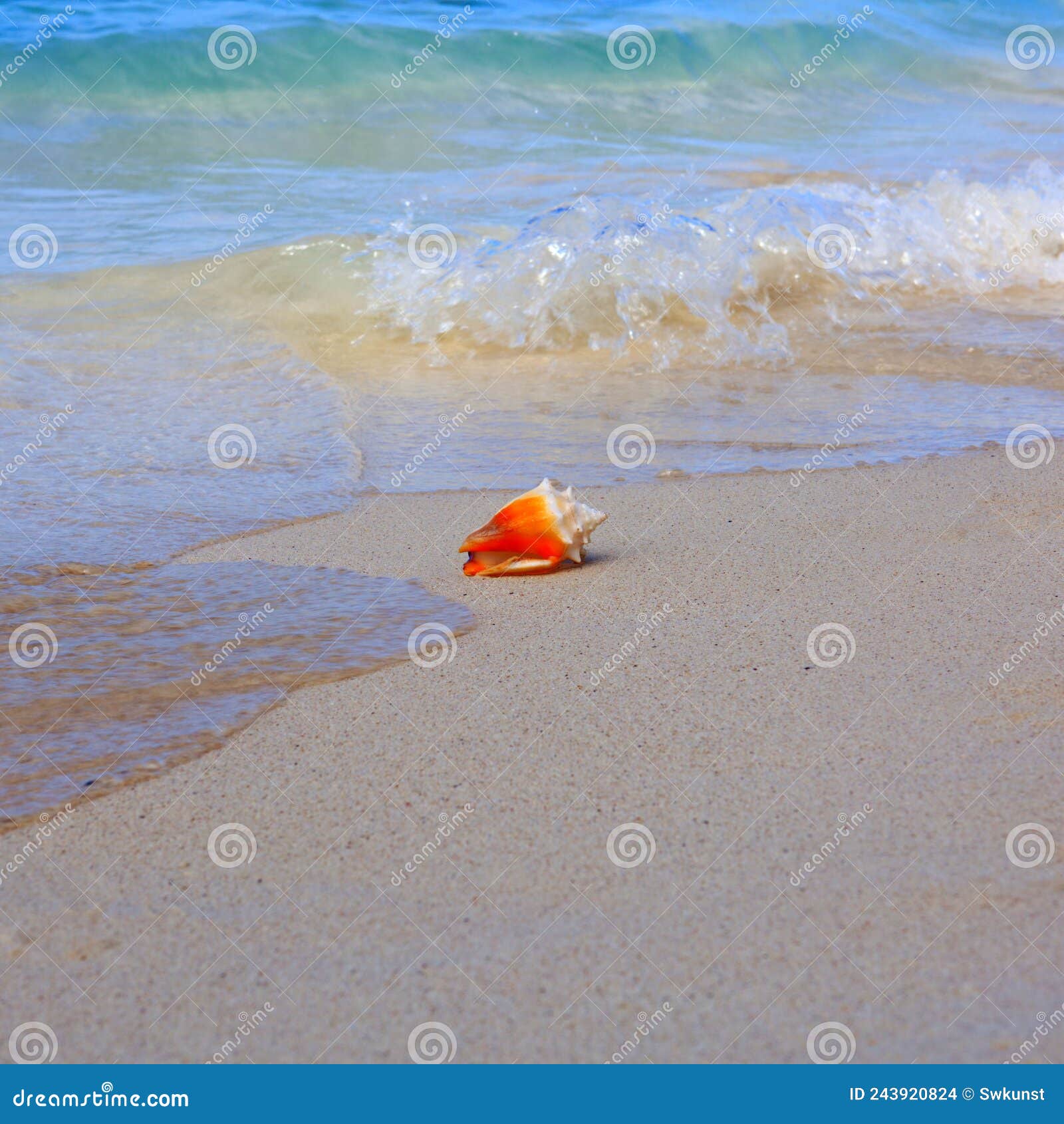 Seashell on Beach and Sea Wave. Summer Sea Landscape. Stock Photo ...