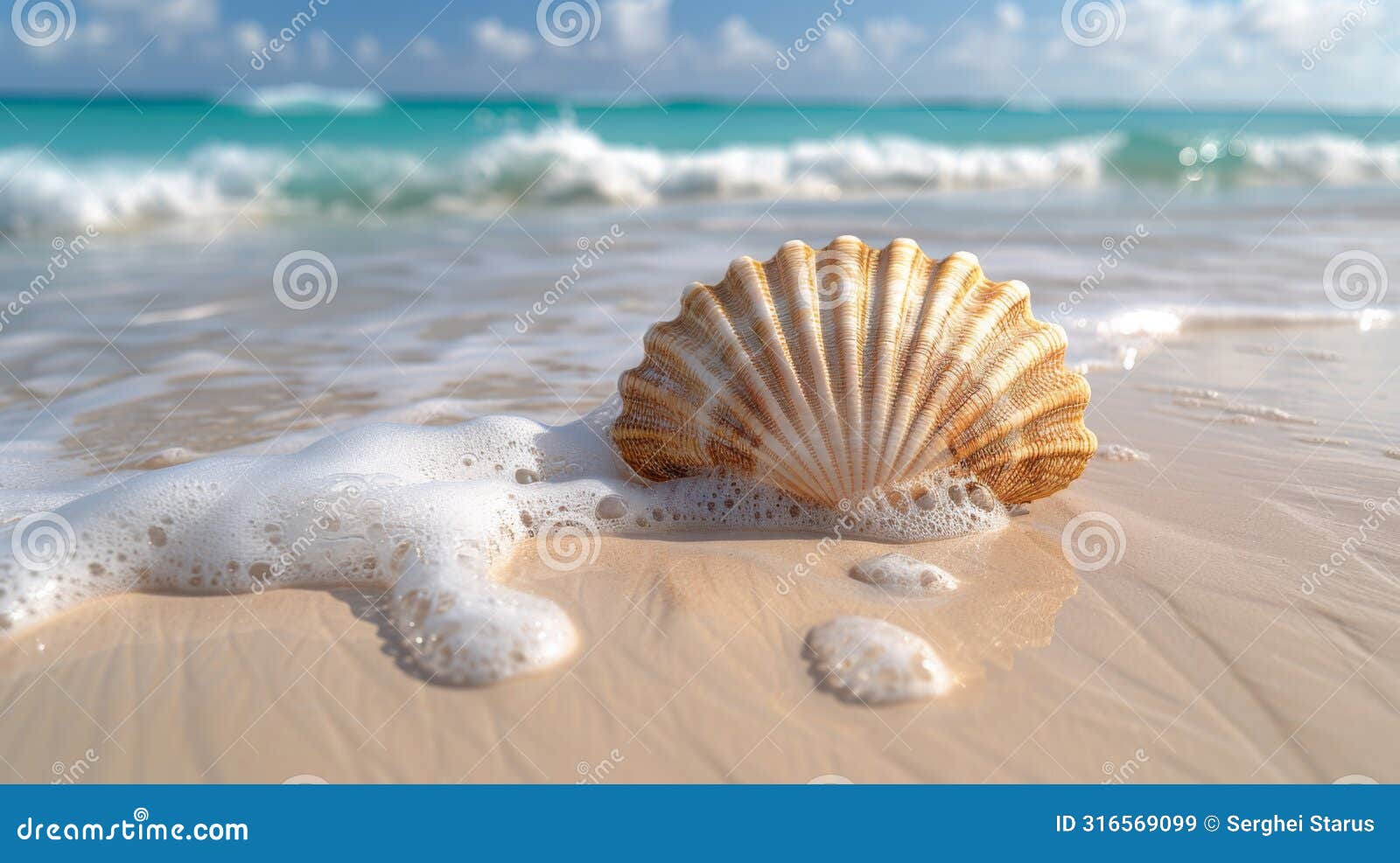 A Seashell on the Beach with Waves and Ocean in Background, AI Stock ...