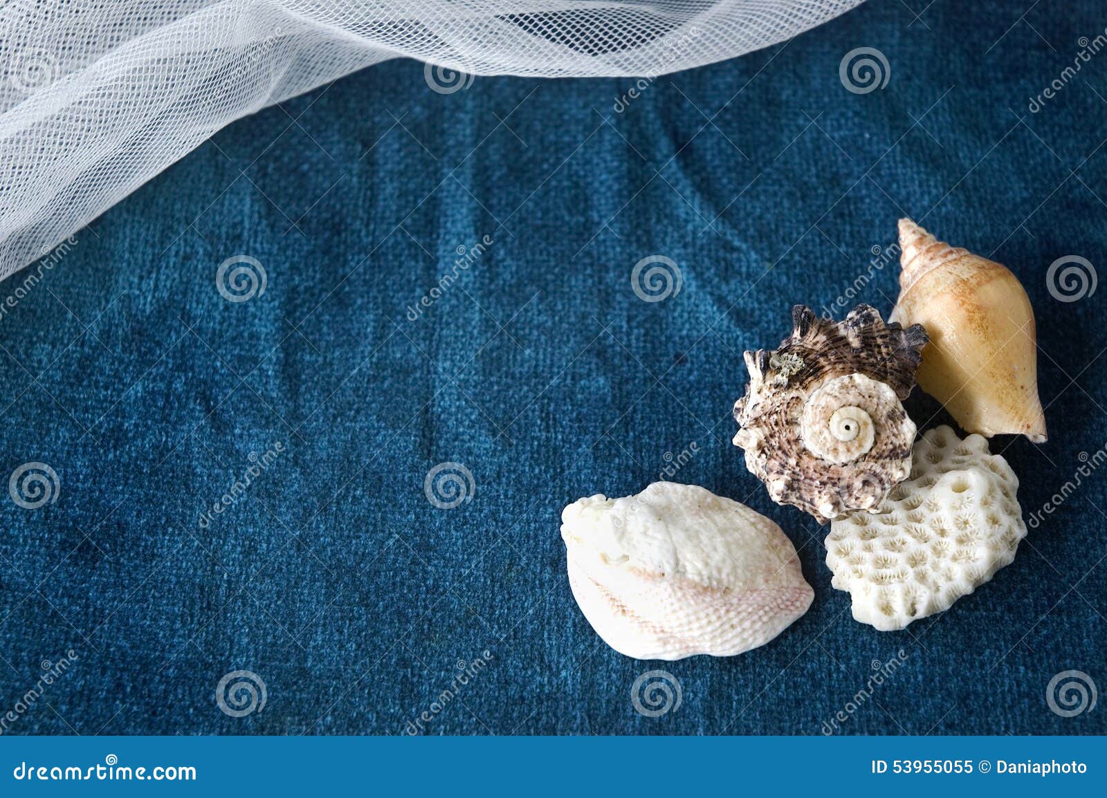 Seashell on Blue Background Stock Image - Image of vacation, textile ...