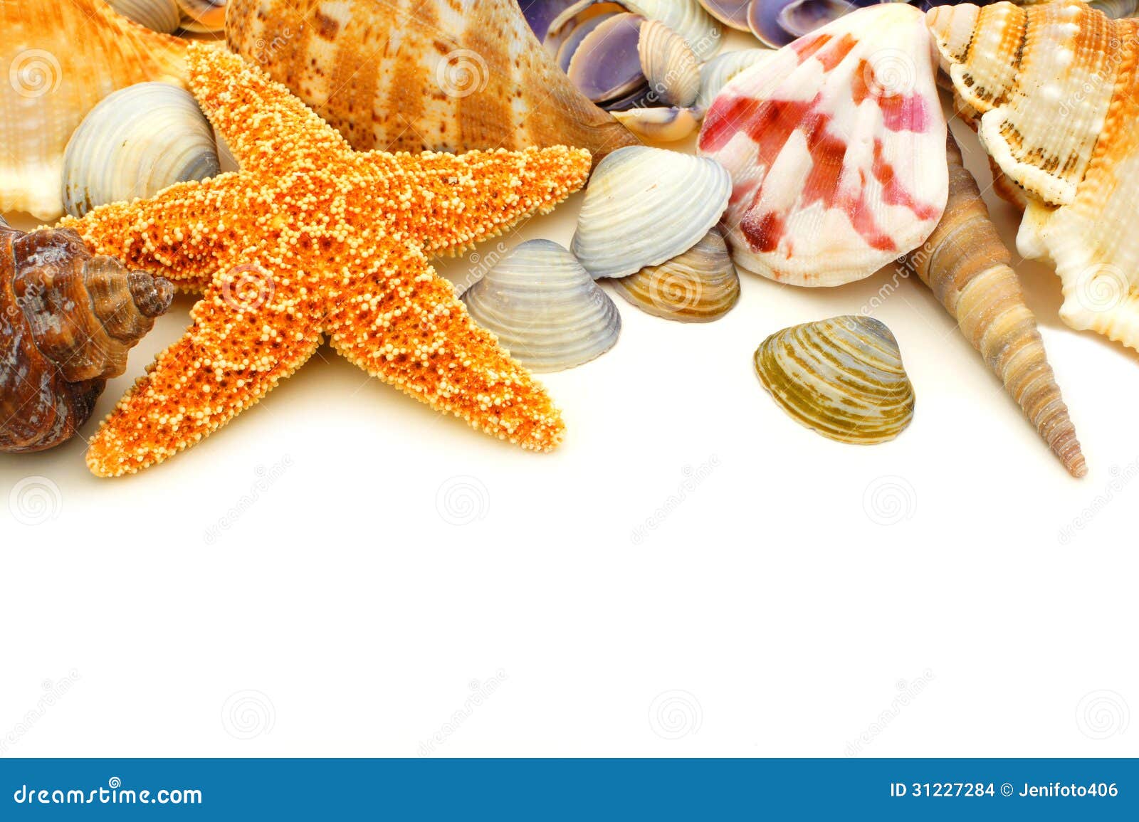 Seashell Border Frame Stock Image | CartoonDealer.com #77940643