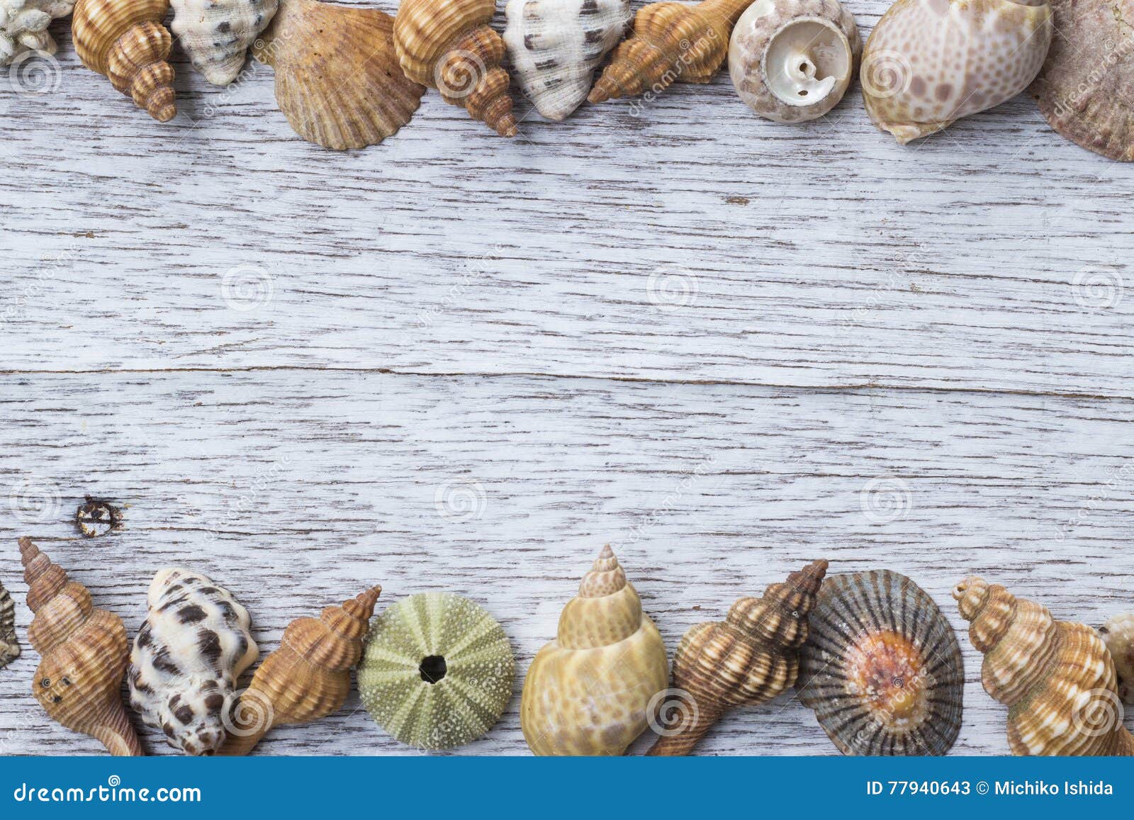 Seashell border frame stock image. Image of brown, white - 77940643