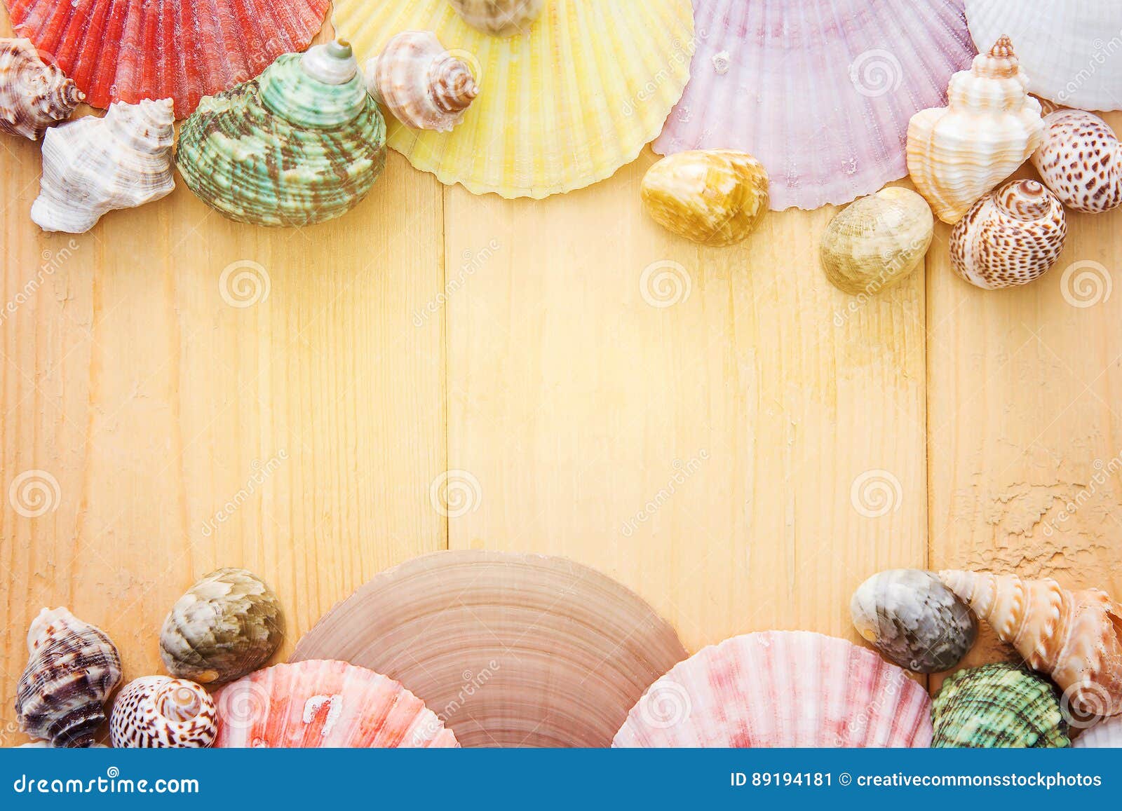 Seashell Border On Wooden Planks Picture. Image: 89194181