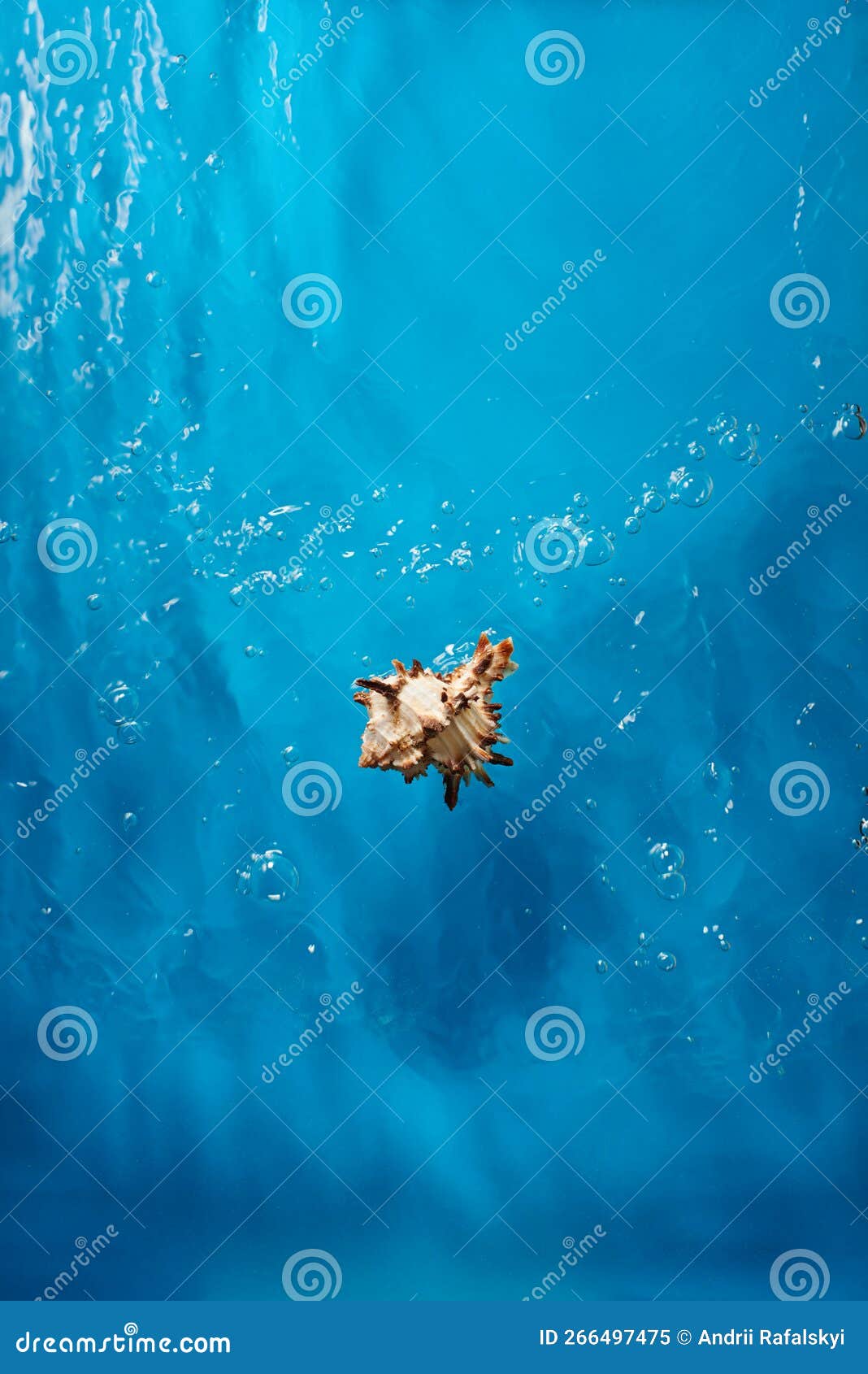 Seashell in Bright Blue Ocean Water with Waves and Bubbles Stock Image ...