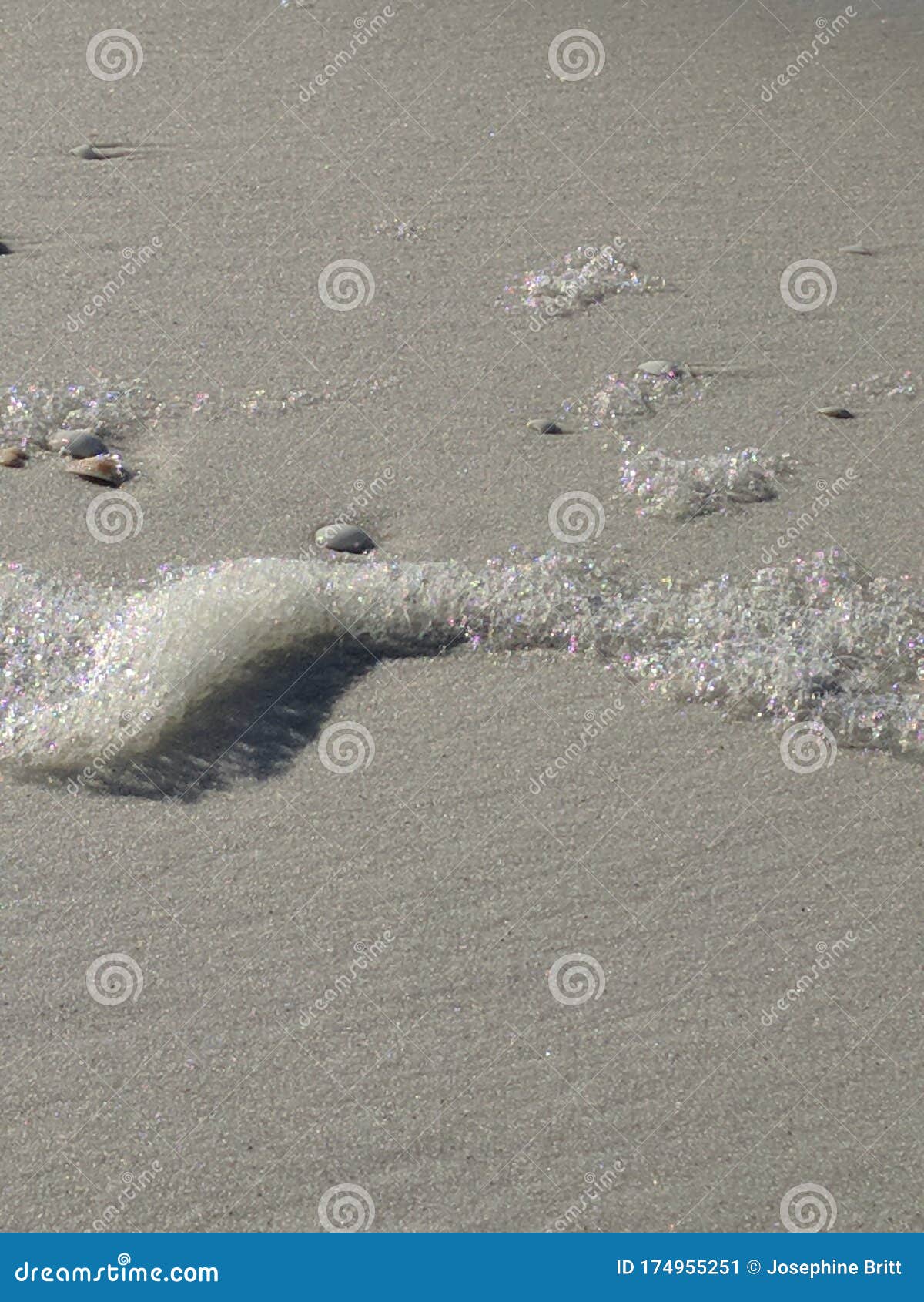 Seashell bubble bath stock image. Image of beach, sands - 174955251