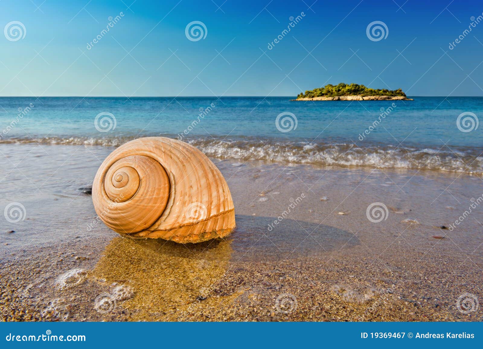 Seashell on Calm Mediterranean Beach Stock Image - Image of seawater ...