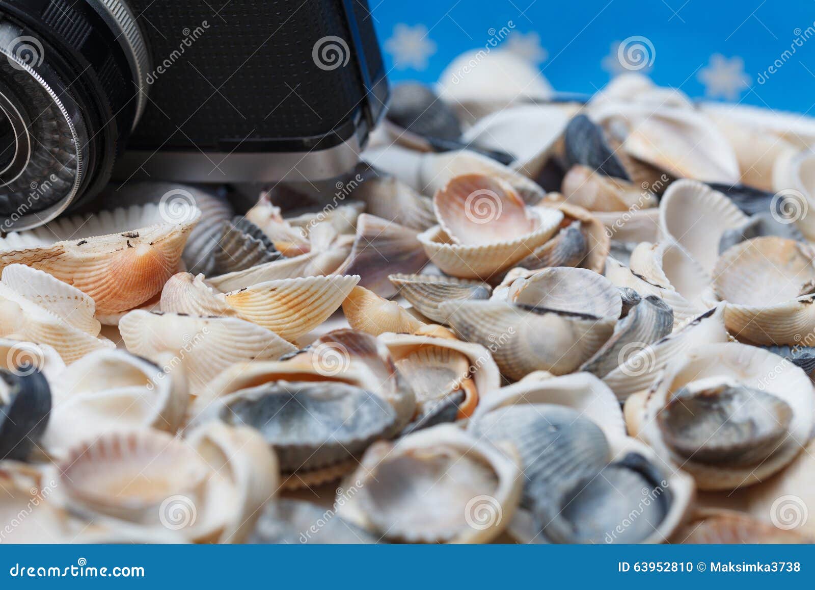 Seashell and Camera on the Beach - Vacation and Travel Concept Stock ...
