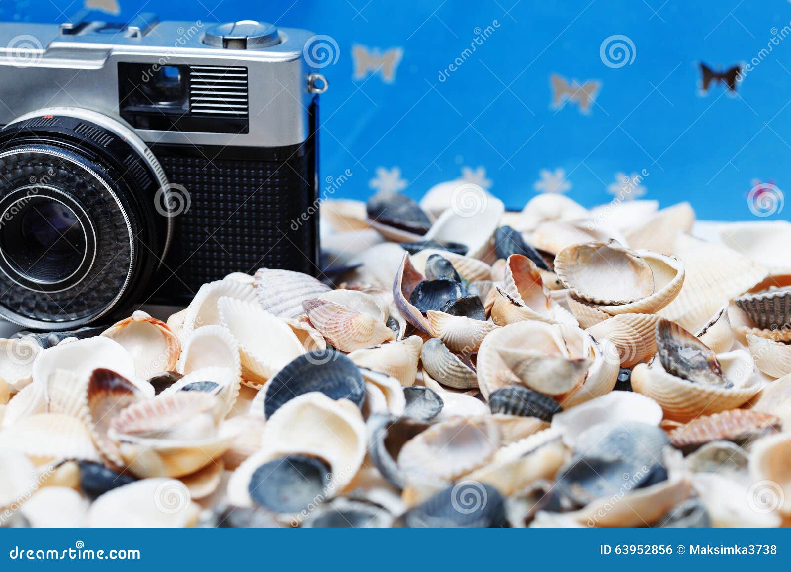 Seashell and Camera on the Beach Stock Photo - Image of shell, island ...