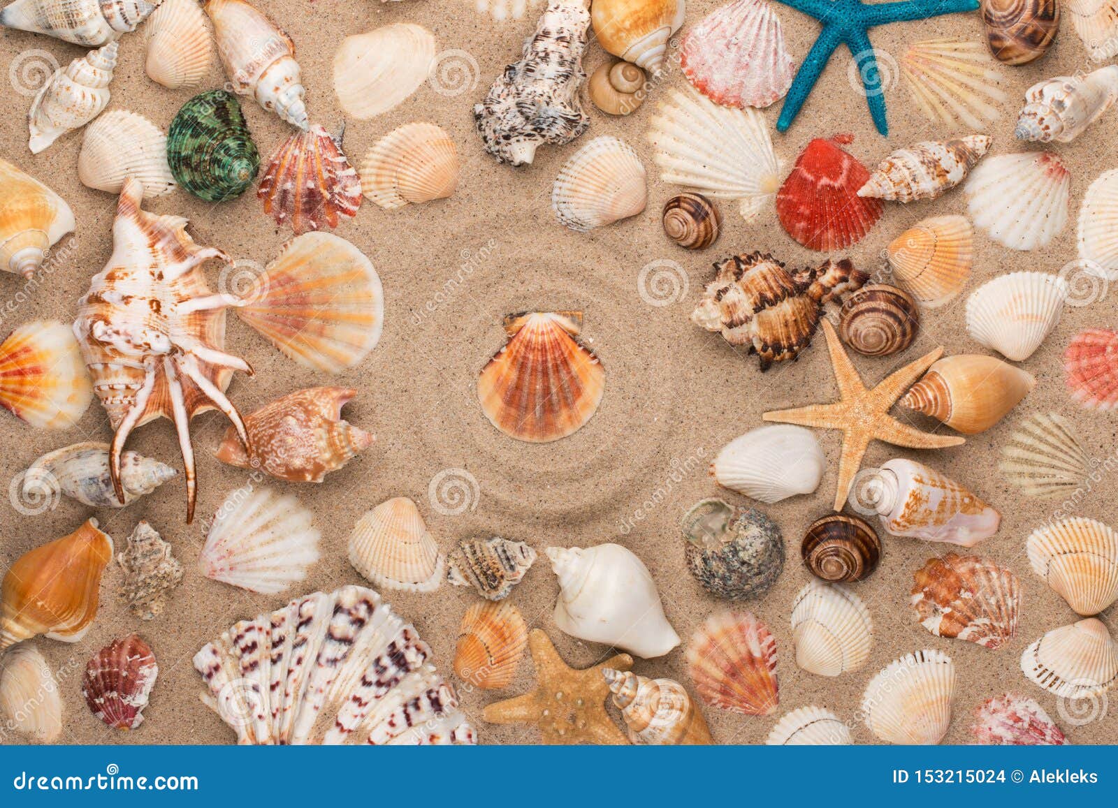 Seashell in the Center of a Circle Made of Sand, among Seashells and ...