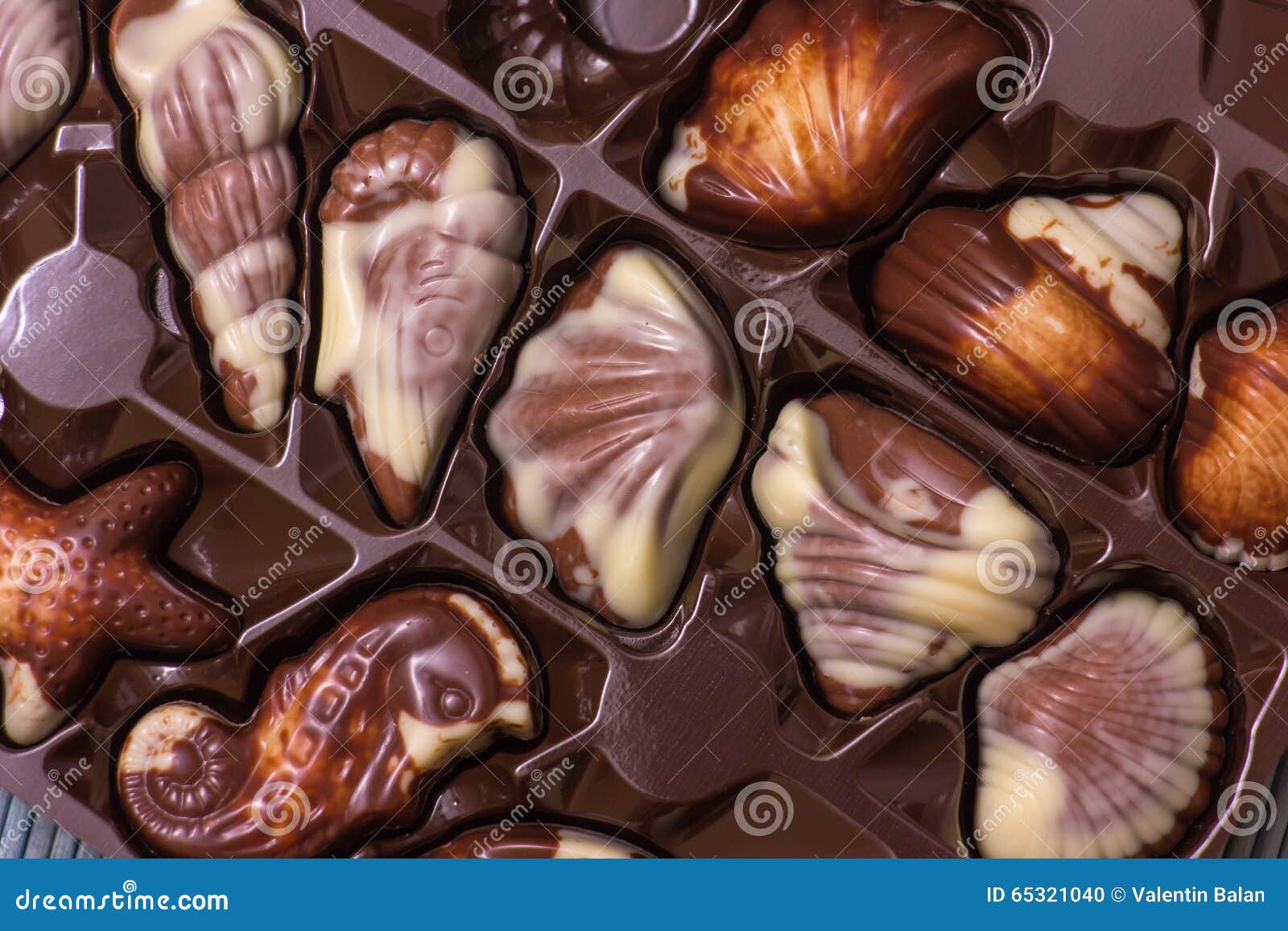 Seashell Chocolates stock photo. Image of objects, chocolates - 65321040