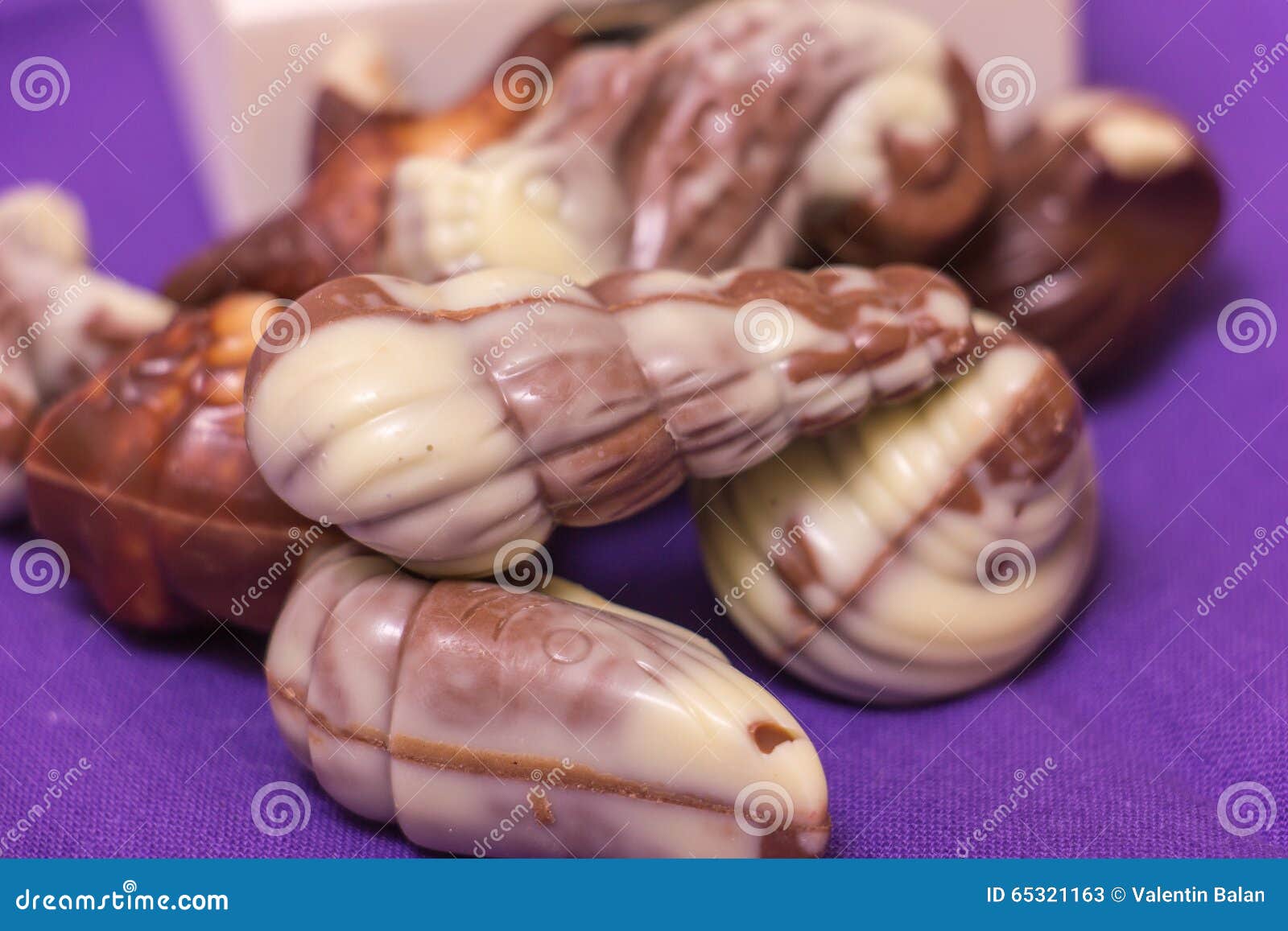 Seashell Chocolates stock image. Image of delicious, assorted - 65321163