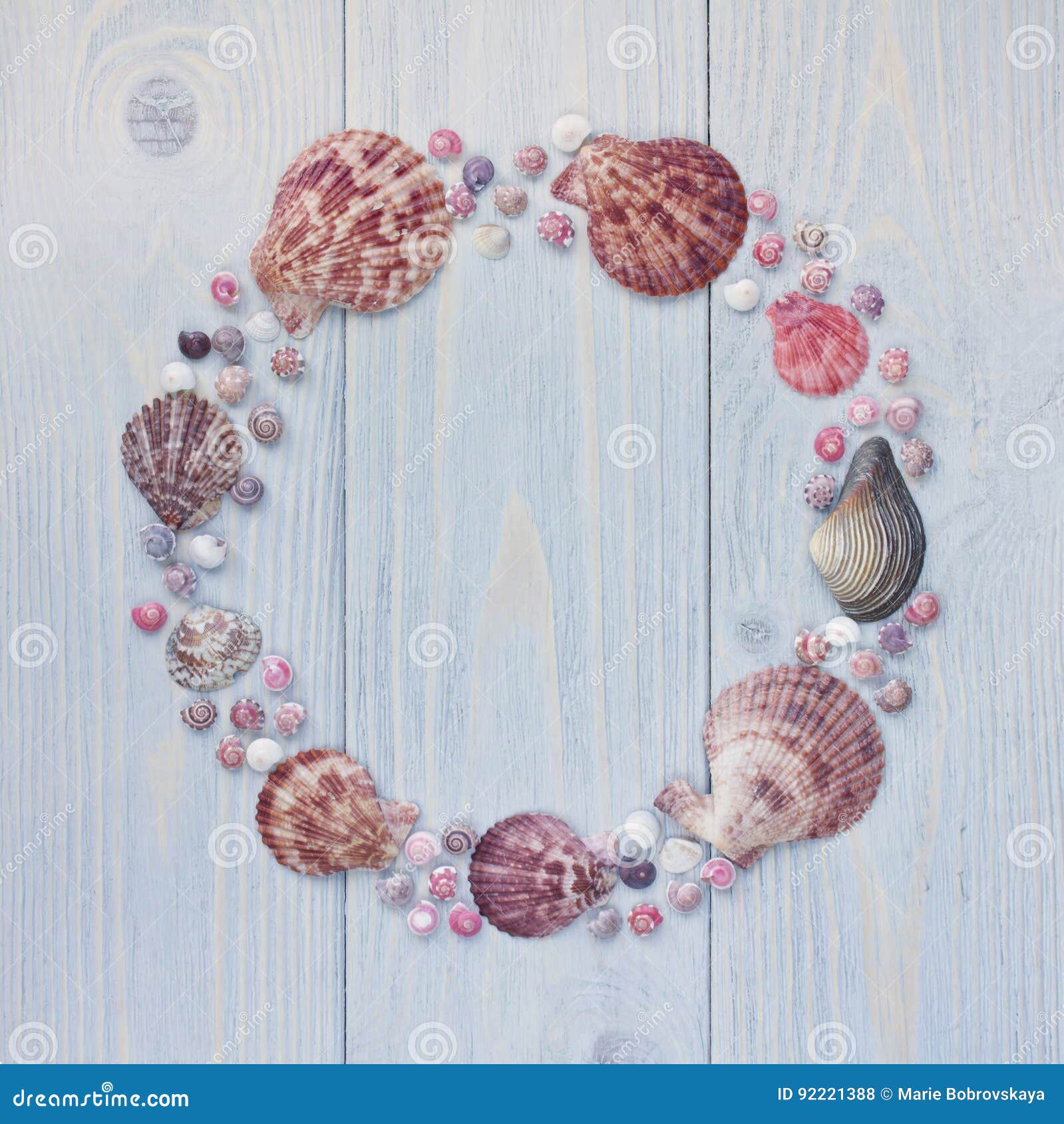 Seashell Circle Frame on Wooden Background. Scallop Shells. Stock Photo ...