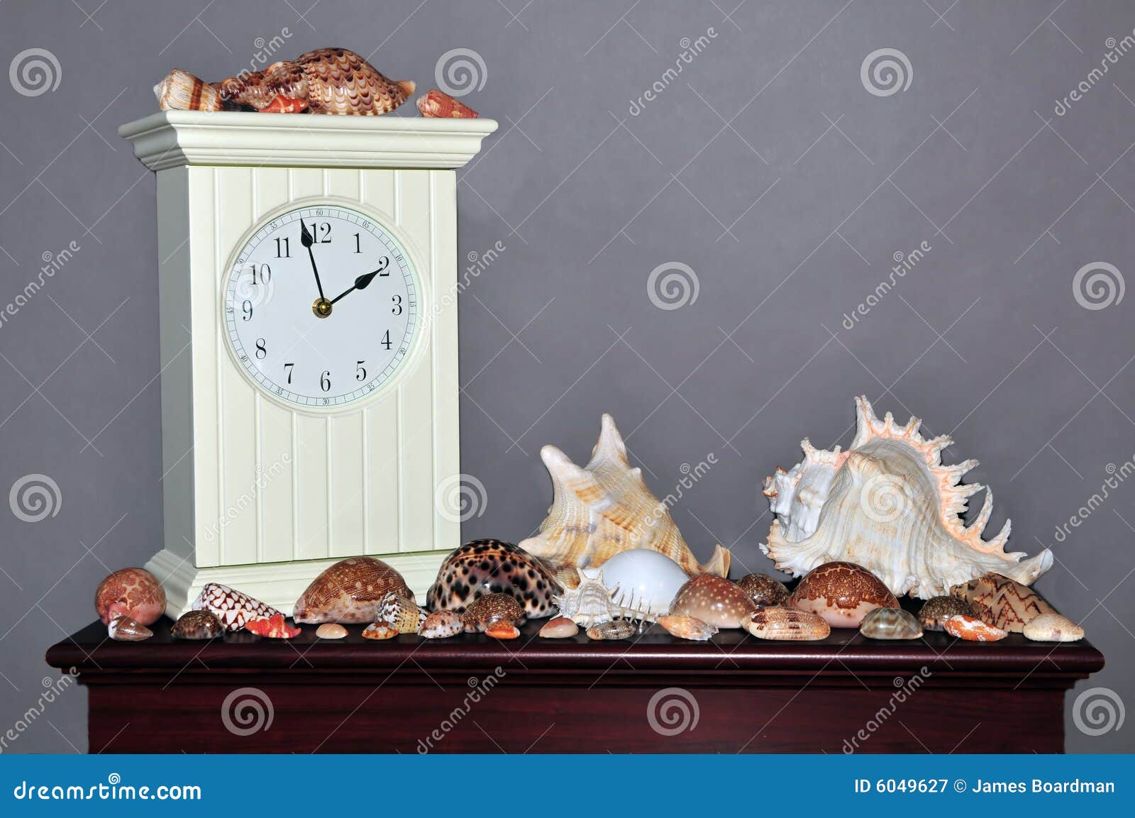 Seashell Collection with Clock on Shelf Stock Image - Image of triton ...