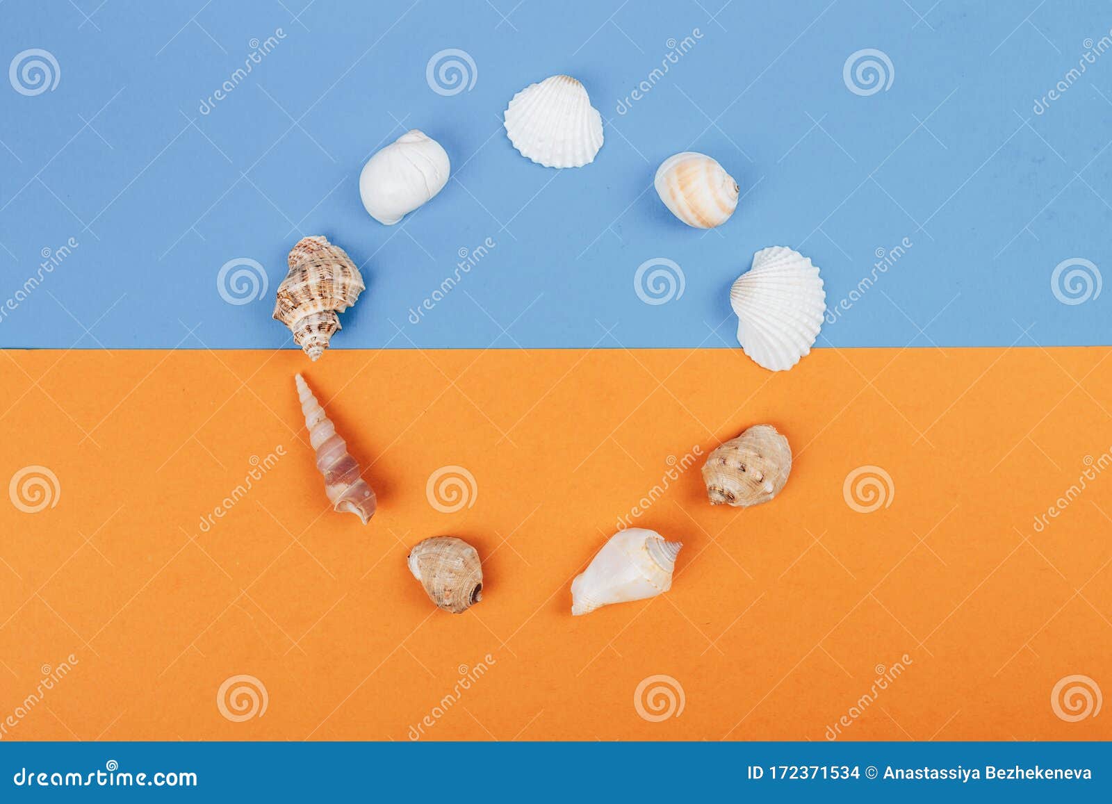 Seashell Collection Lying Around Circle Shape. Stock Photo - Image of ...