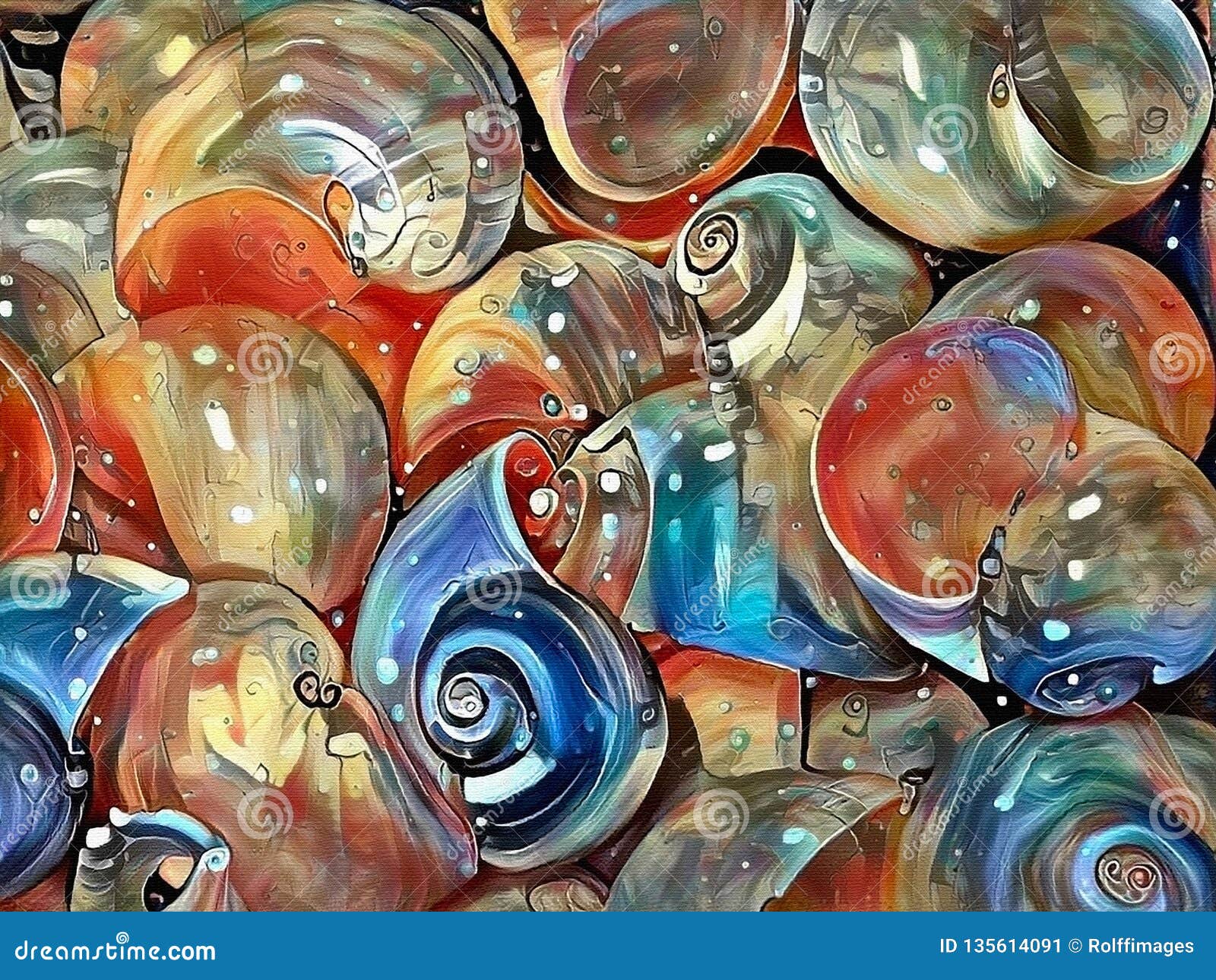 Seashell Conus-shaped Isolated On White Background. Vector Illustration ...