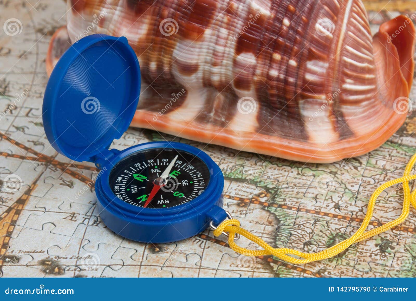 Seashell and compass stock photo. Image of punting, south - 142795790
