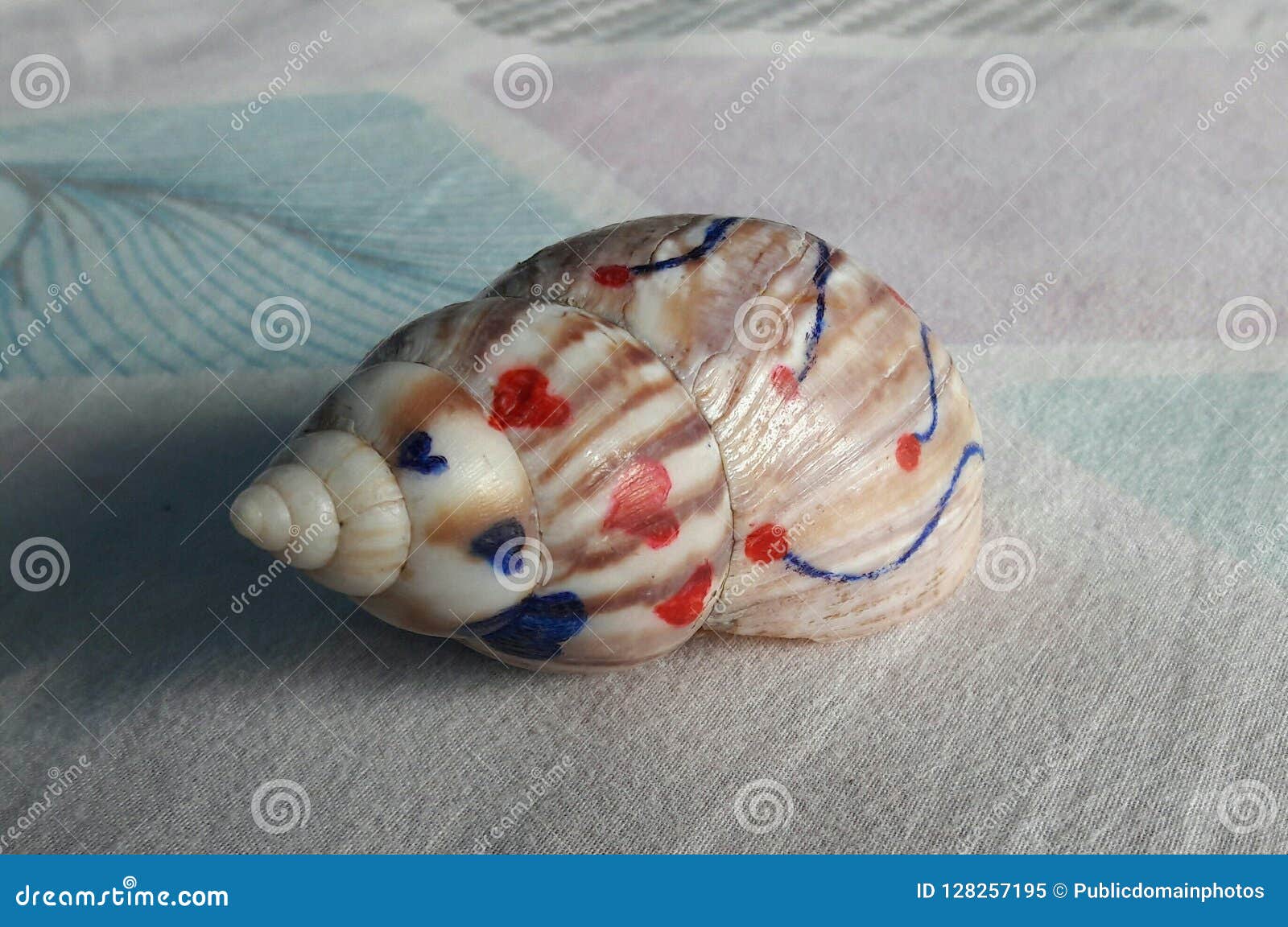 Seashell, Conch, Material, Shankha Picture. Image: 128257195