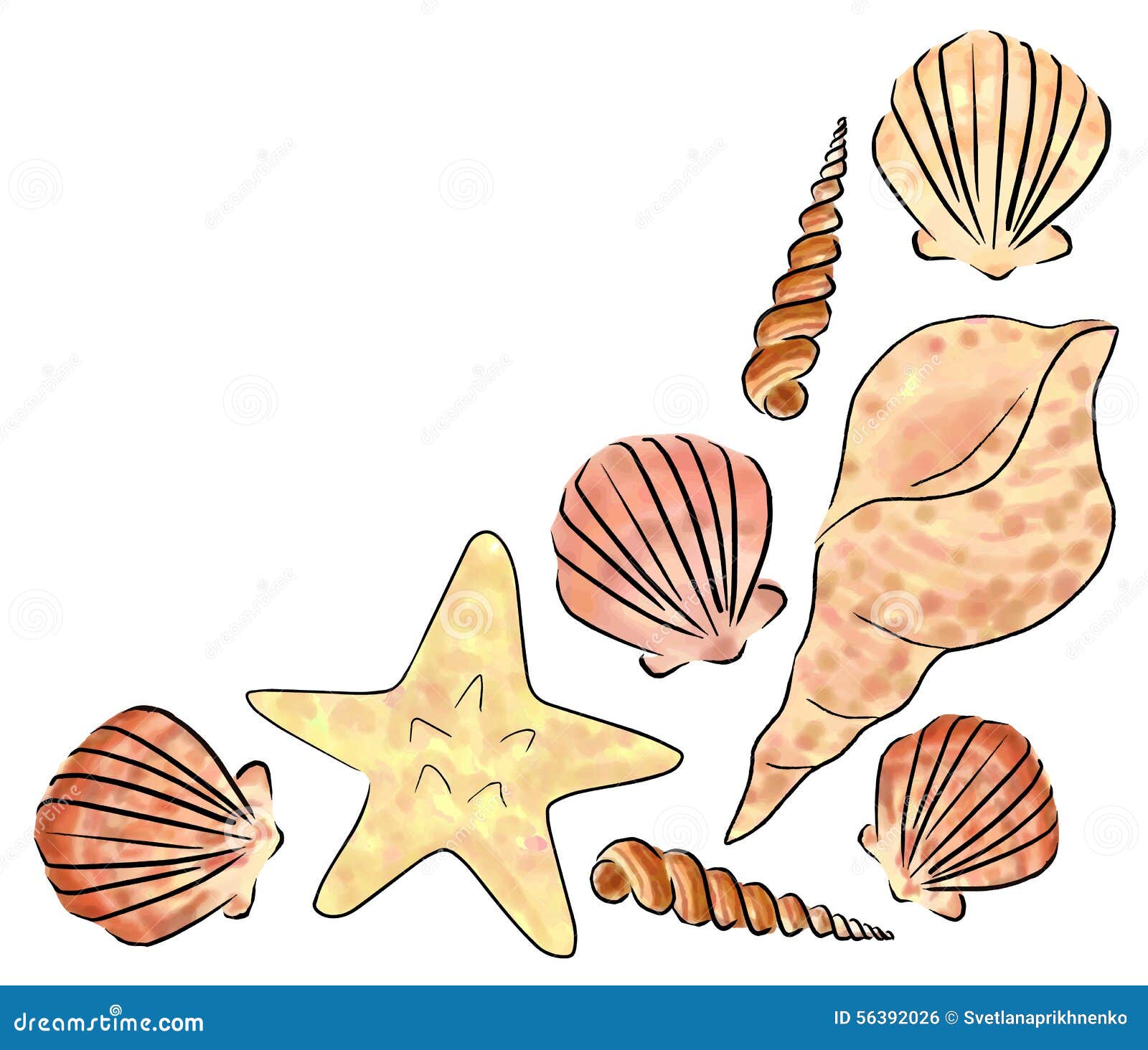 Seashell corn stock vector. Illustration of vector, beach - 56392026